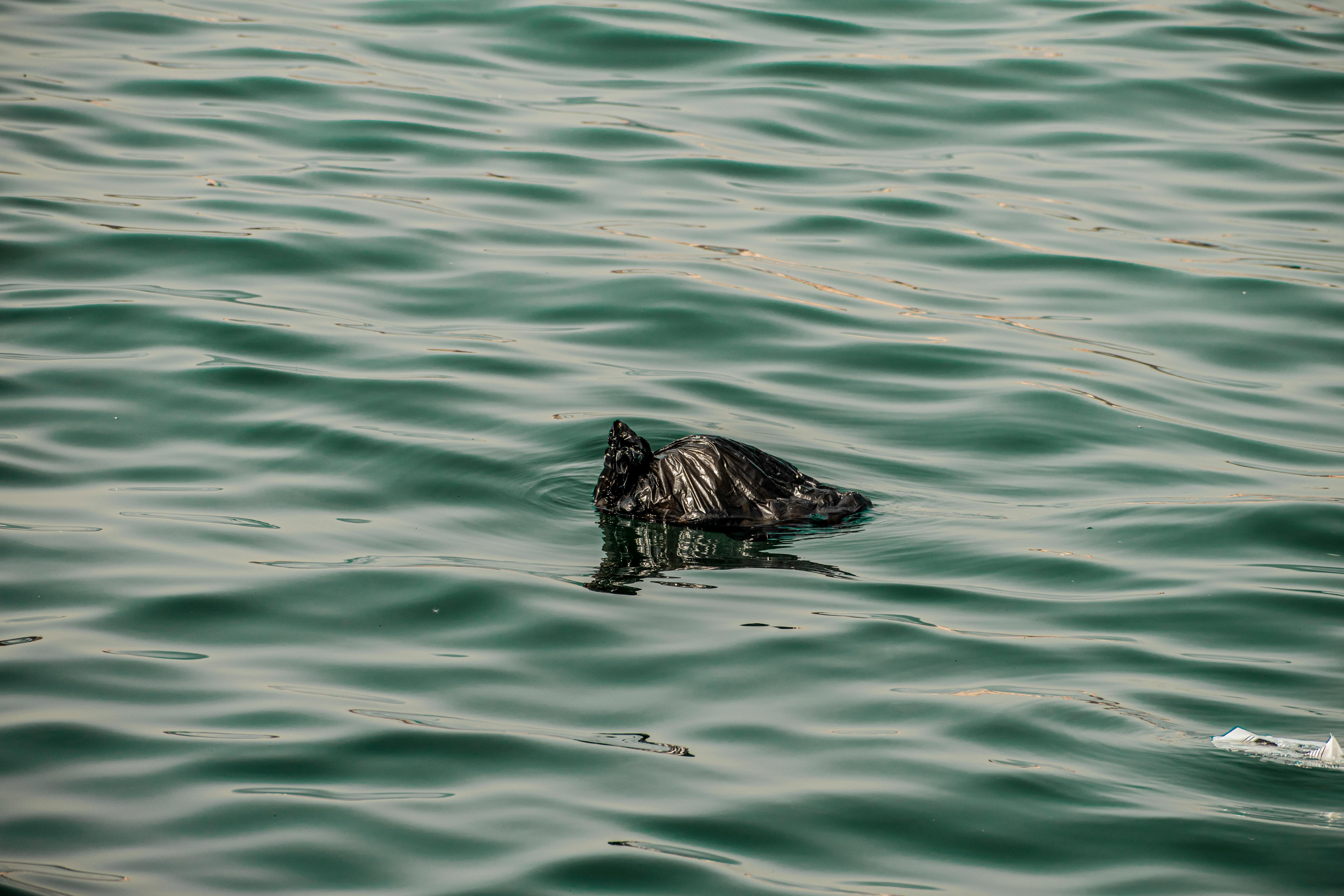 A Black Plastic Trash Bag Floating in the Water · Free Stock Photo
