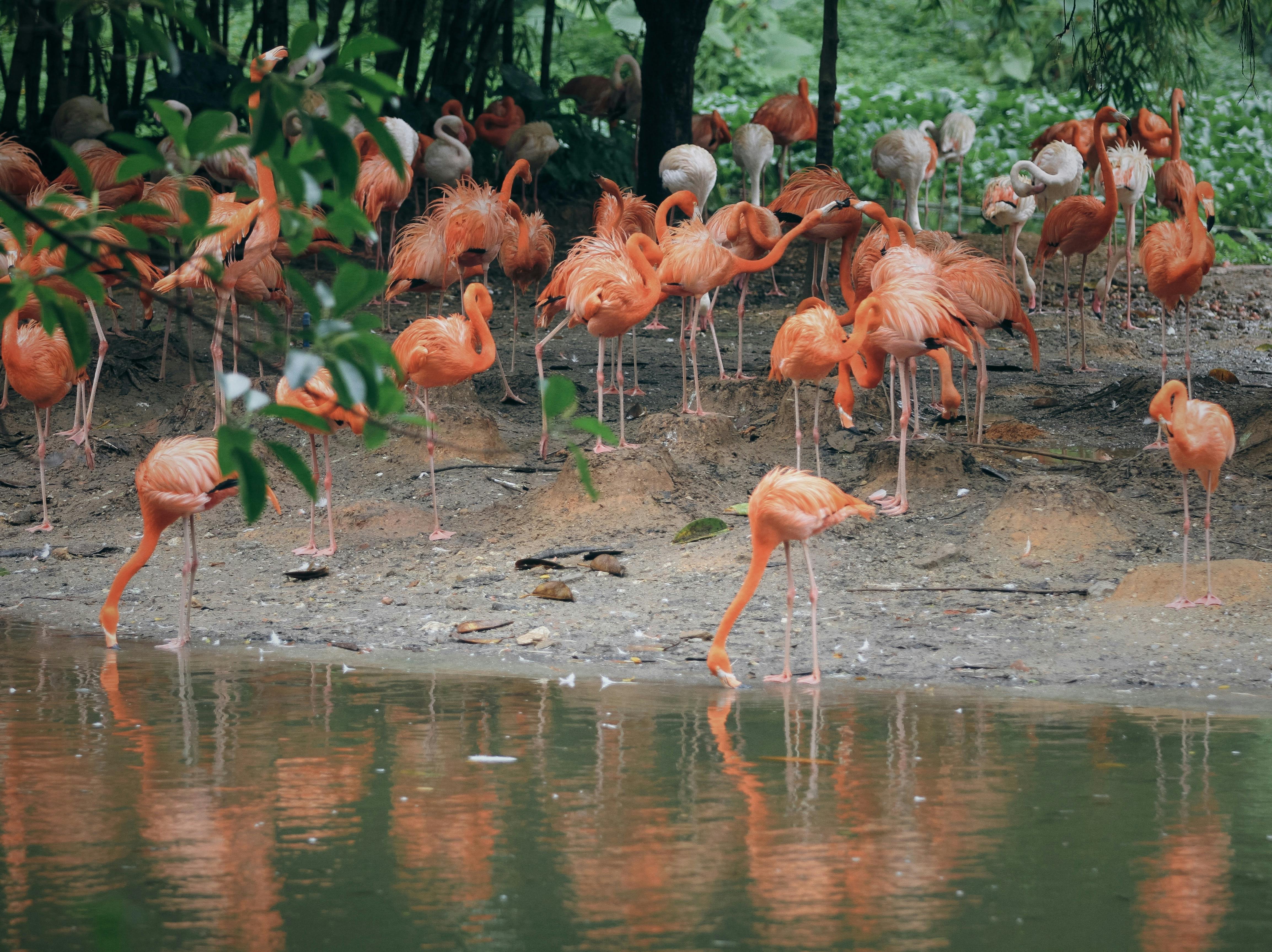 8k Animated Wallpaper Photos, Download The BEST Free 8k Animated ...