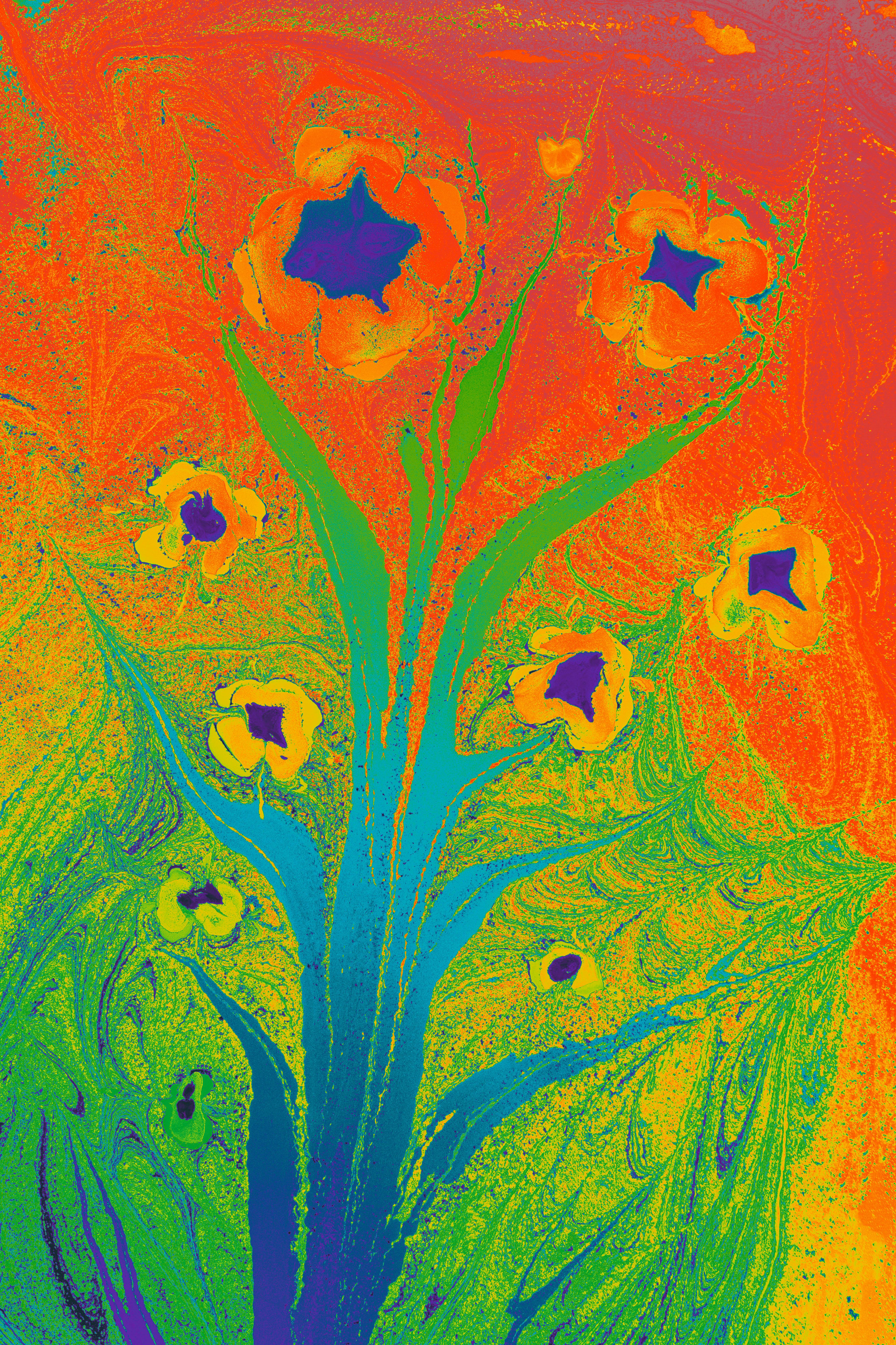 Illustration Art Photos, Download The BEST Free Illustration Art Stock ...