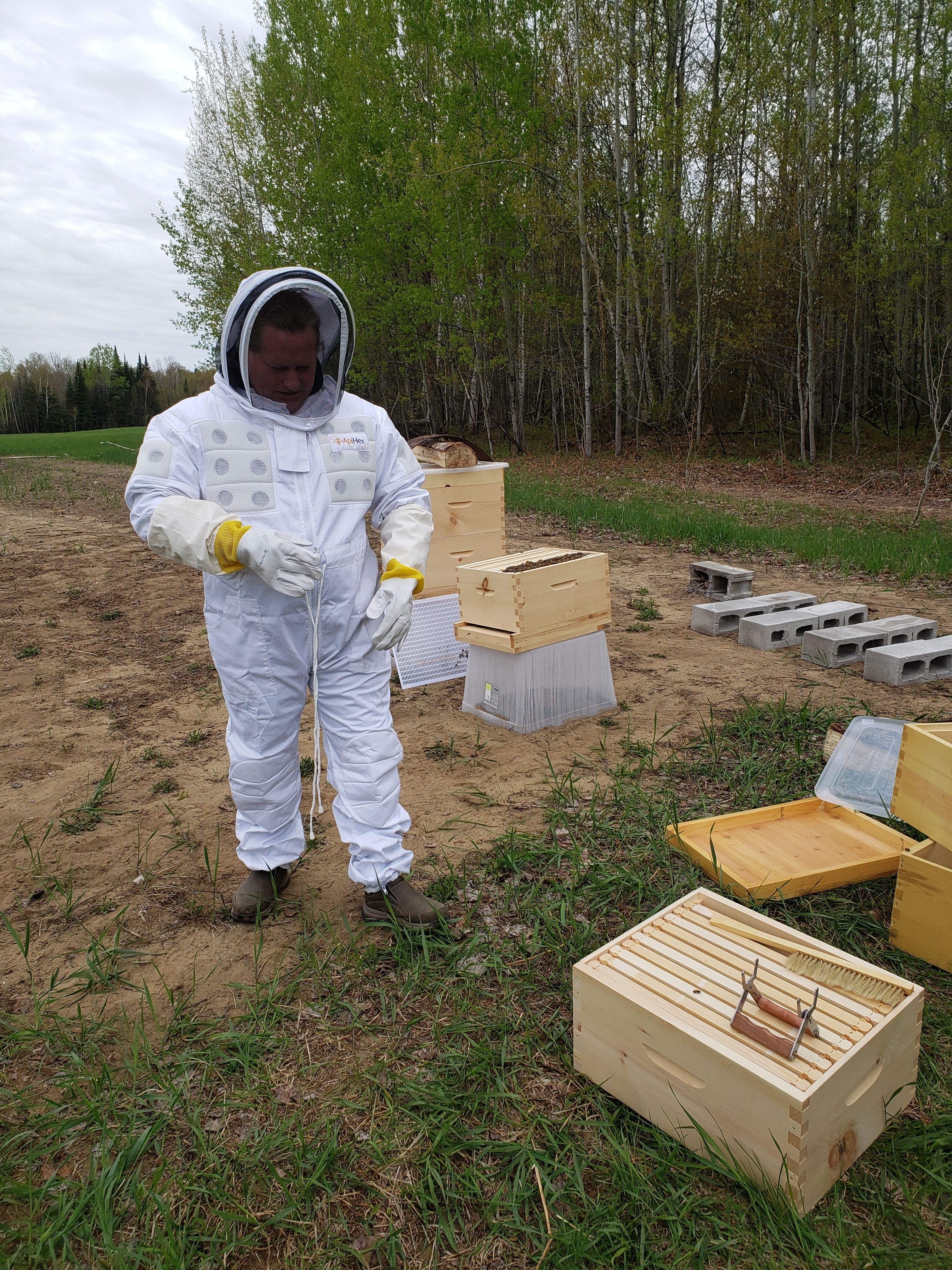 Man Wearing a White Beekeeper Suit · Free Stock Photo