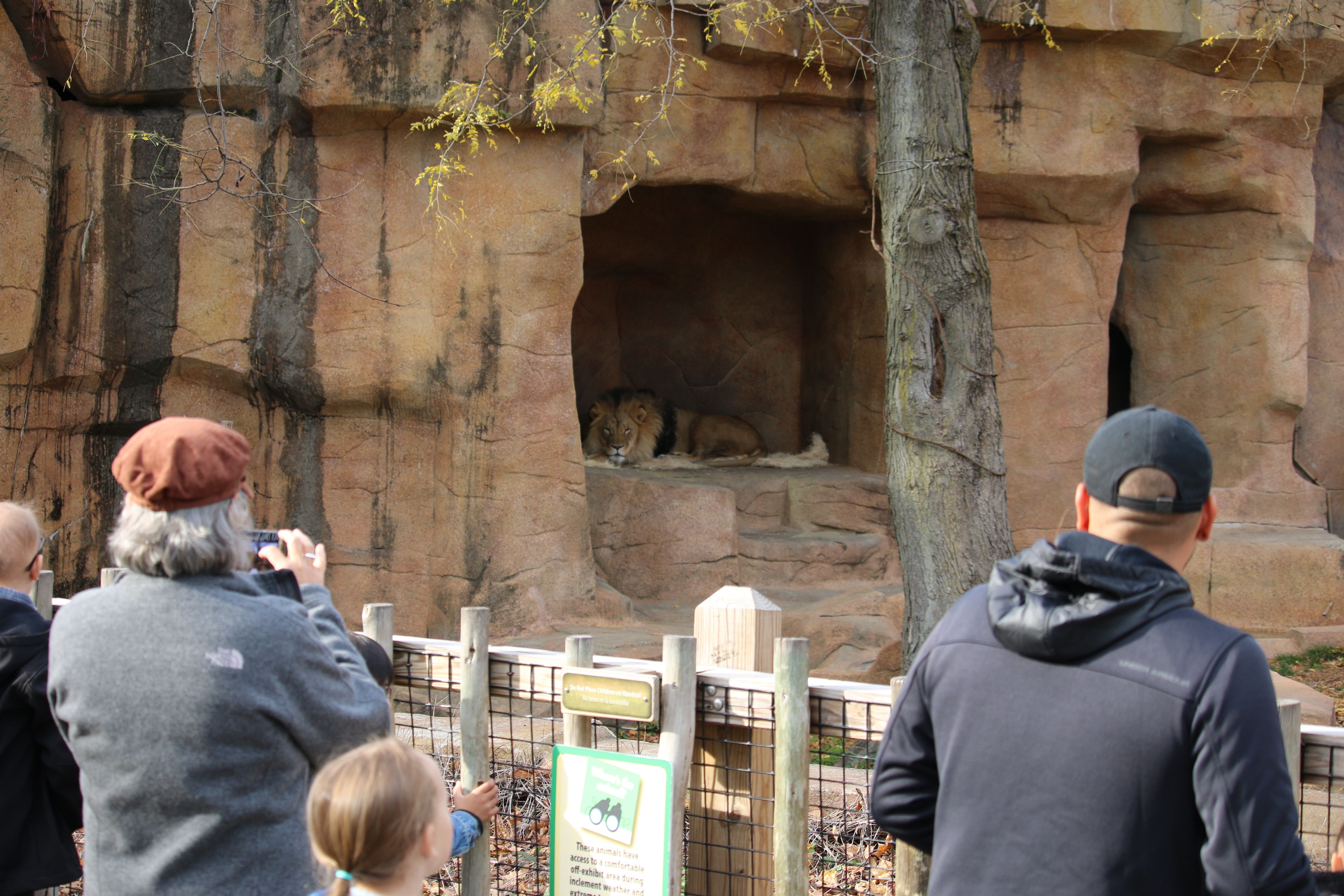 Back View of People in Zoo · Free Stock Photo