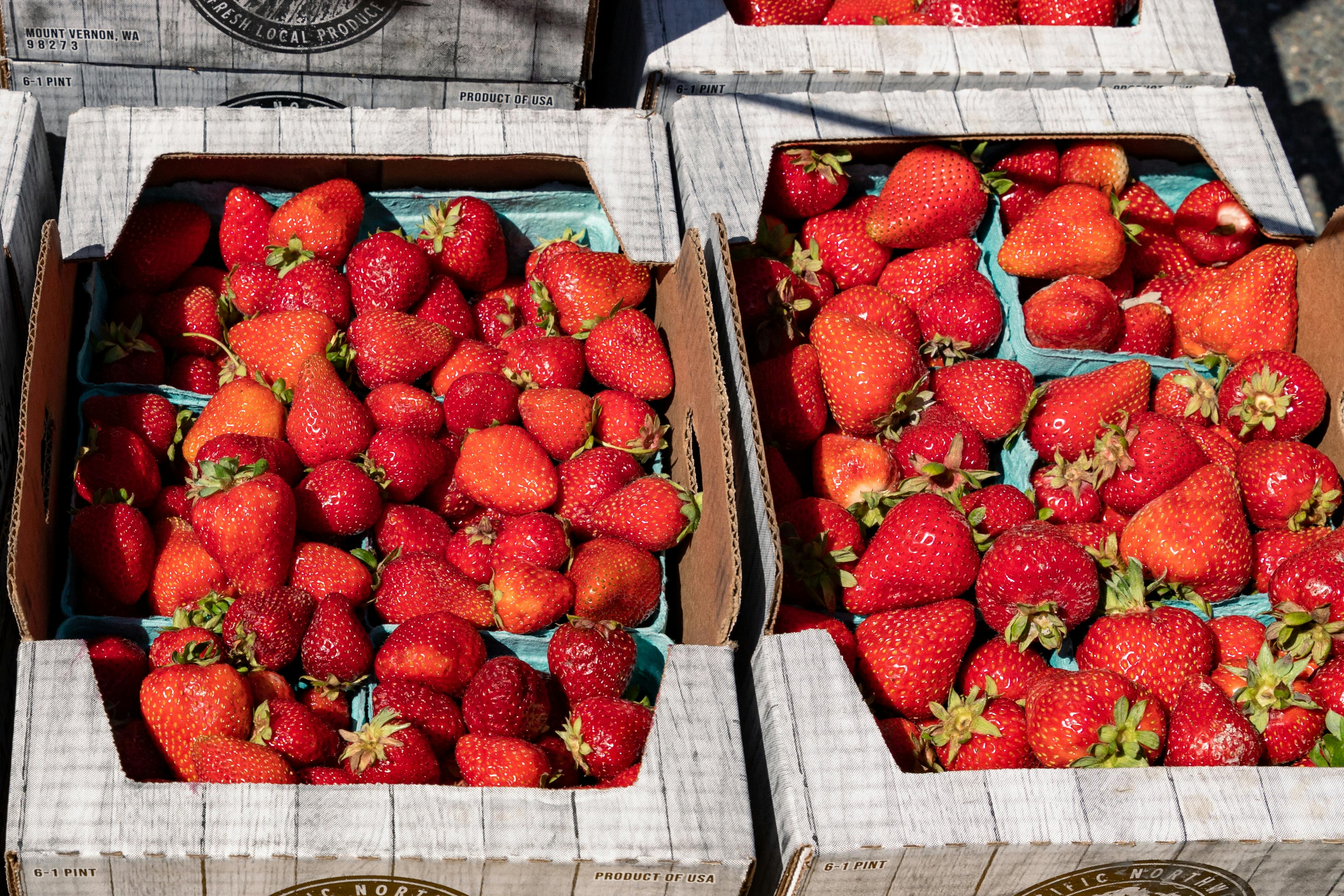 Strawberries · Free Stock Photo