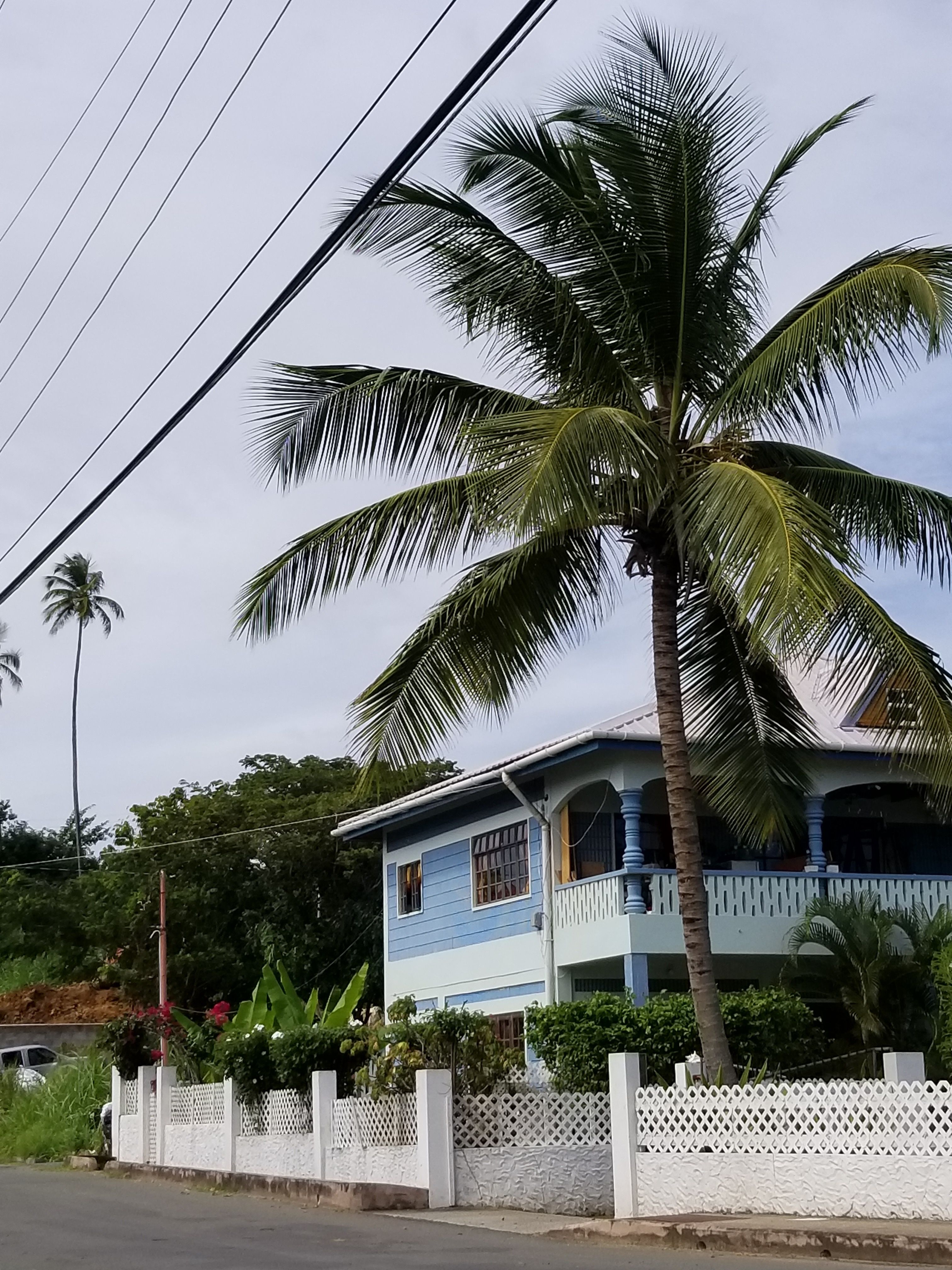 Tobago, West Indies 23 Photos & Videos Collected by Enola James