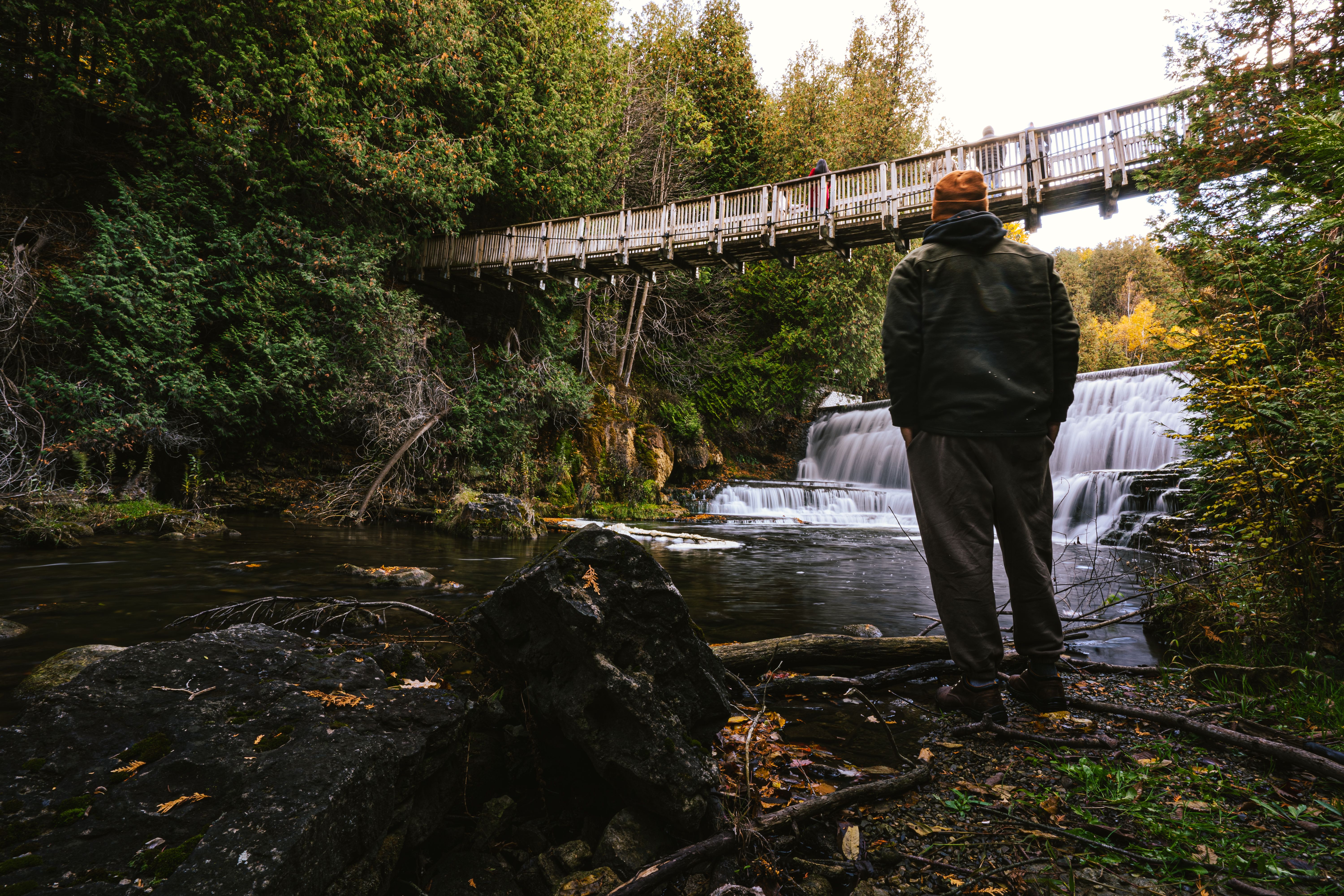 Man Looking on a Waterfall · Free Stock Photo