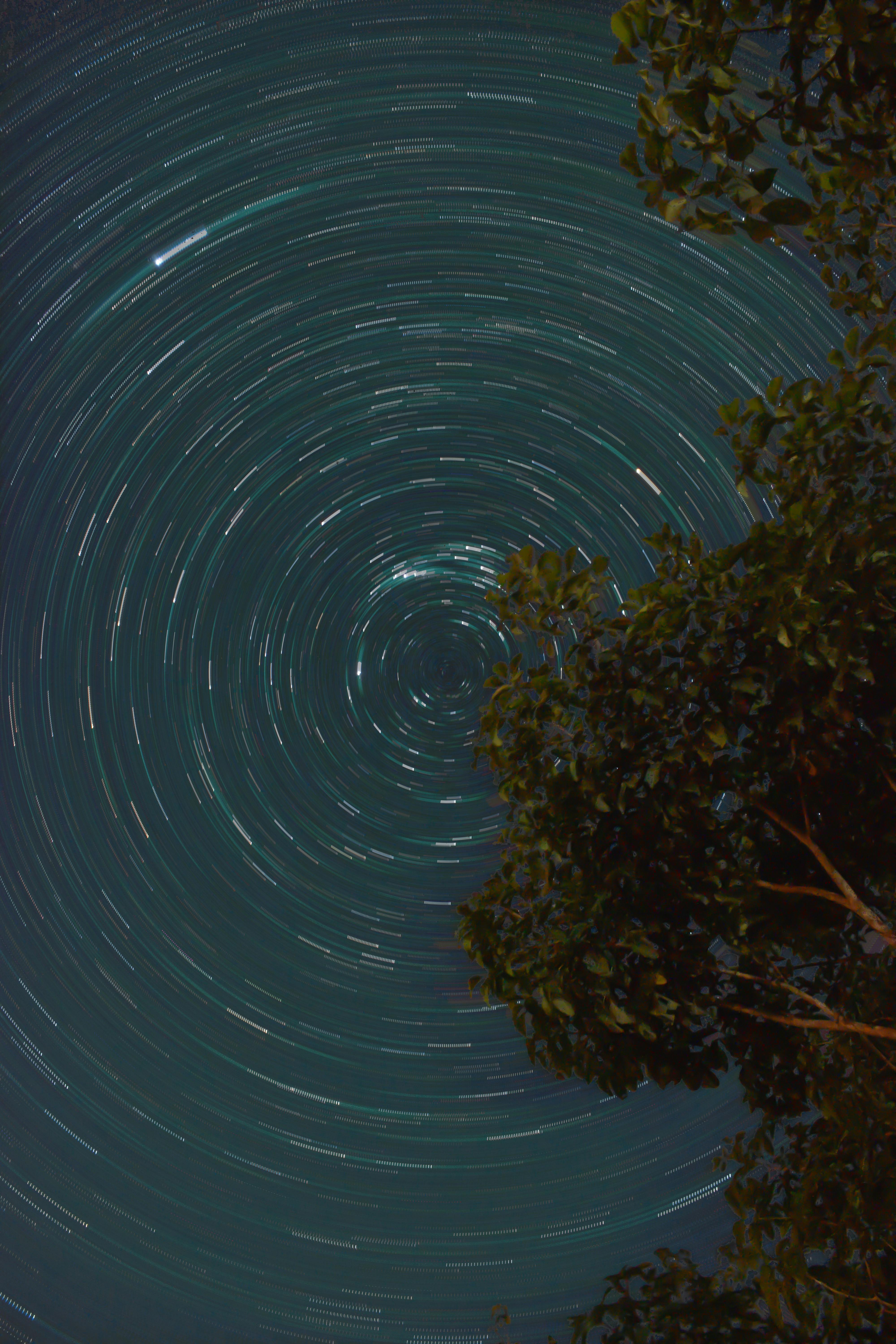 Circular Star Trails · Free Stock Photo