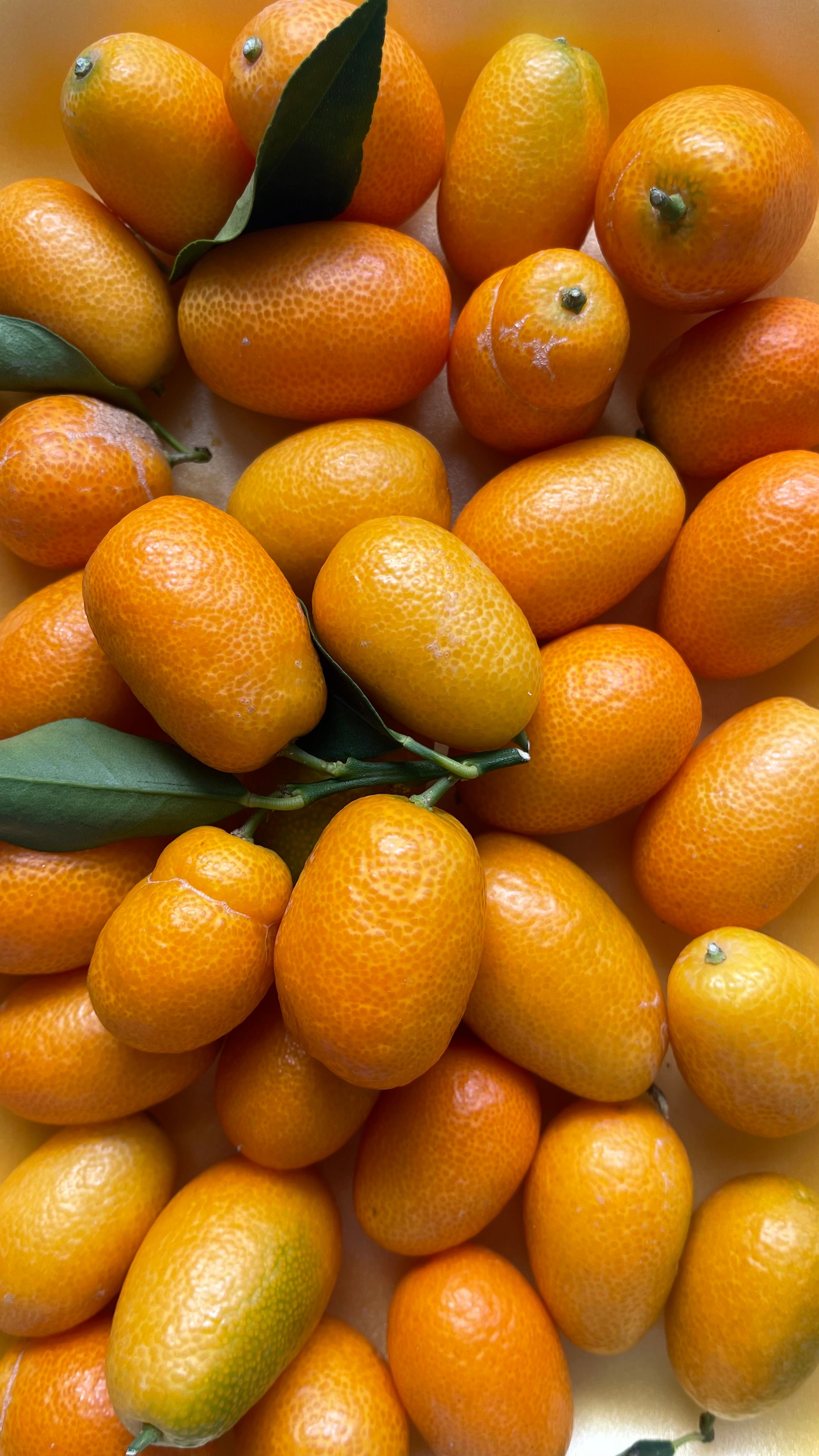 Close-Up Shot of Kumquats · Free Stock Photo