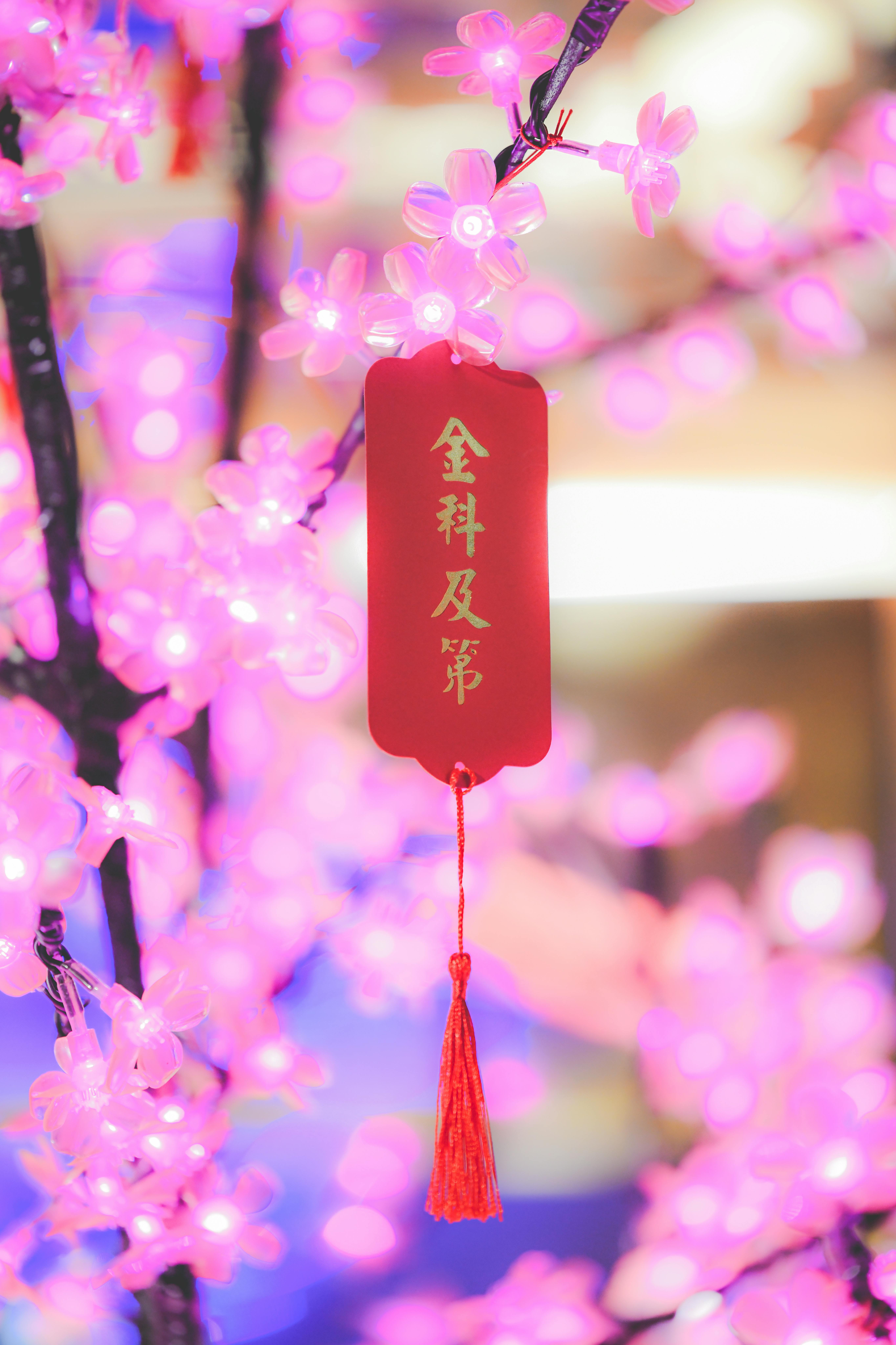 Red Wish Slip on Sakura Tree Made of Flower Shaped Led Lights · Free ...