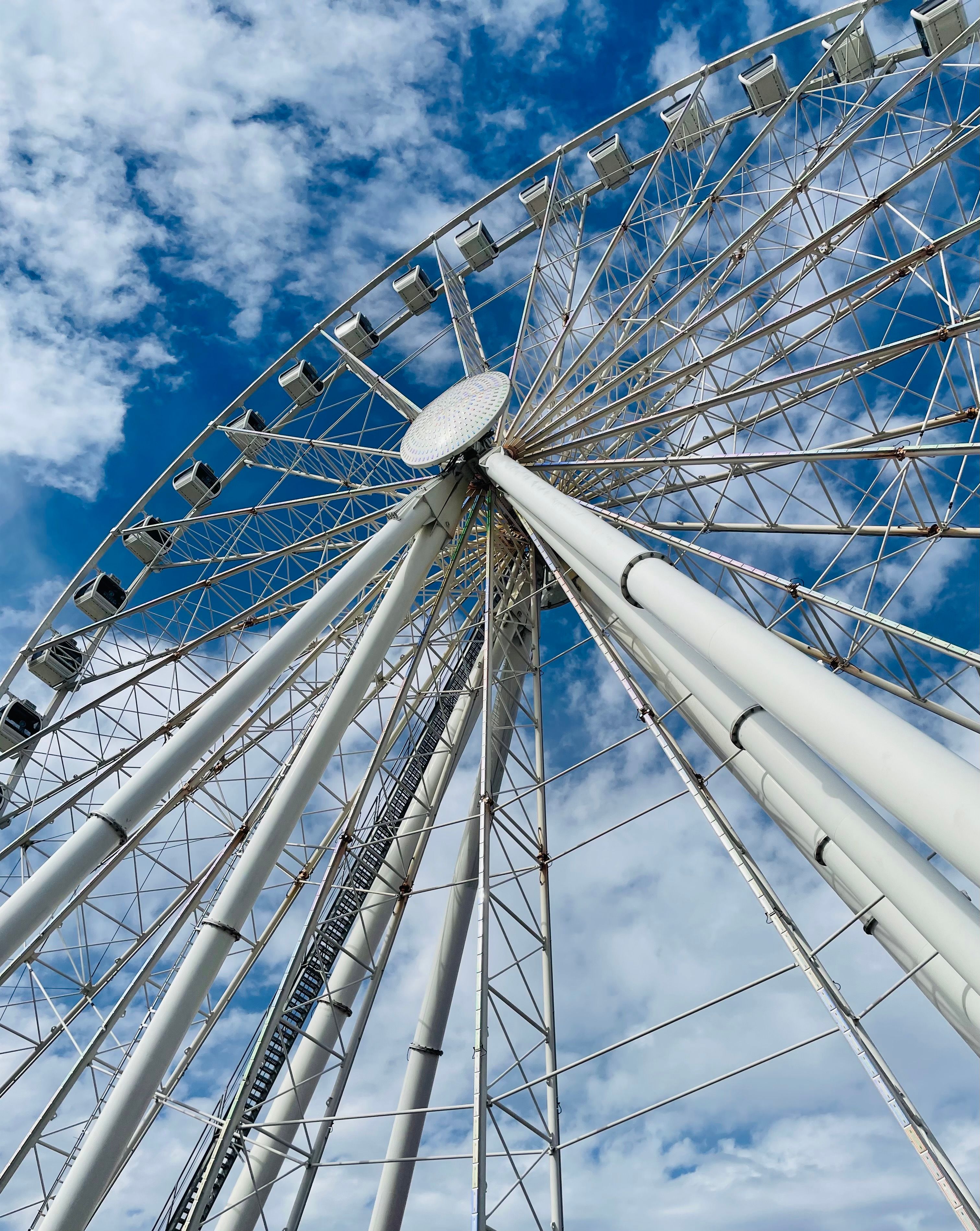 Ferris Wheel in an Amusement Park · Free Stock Photo