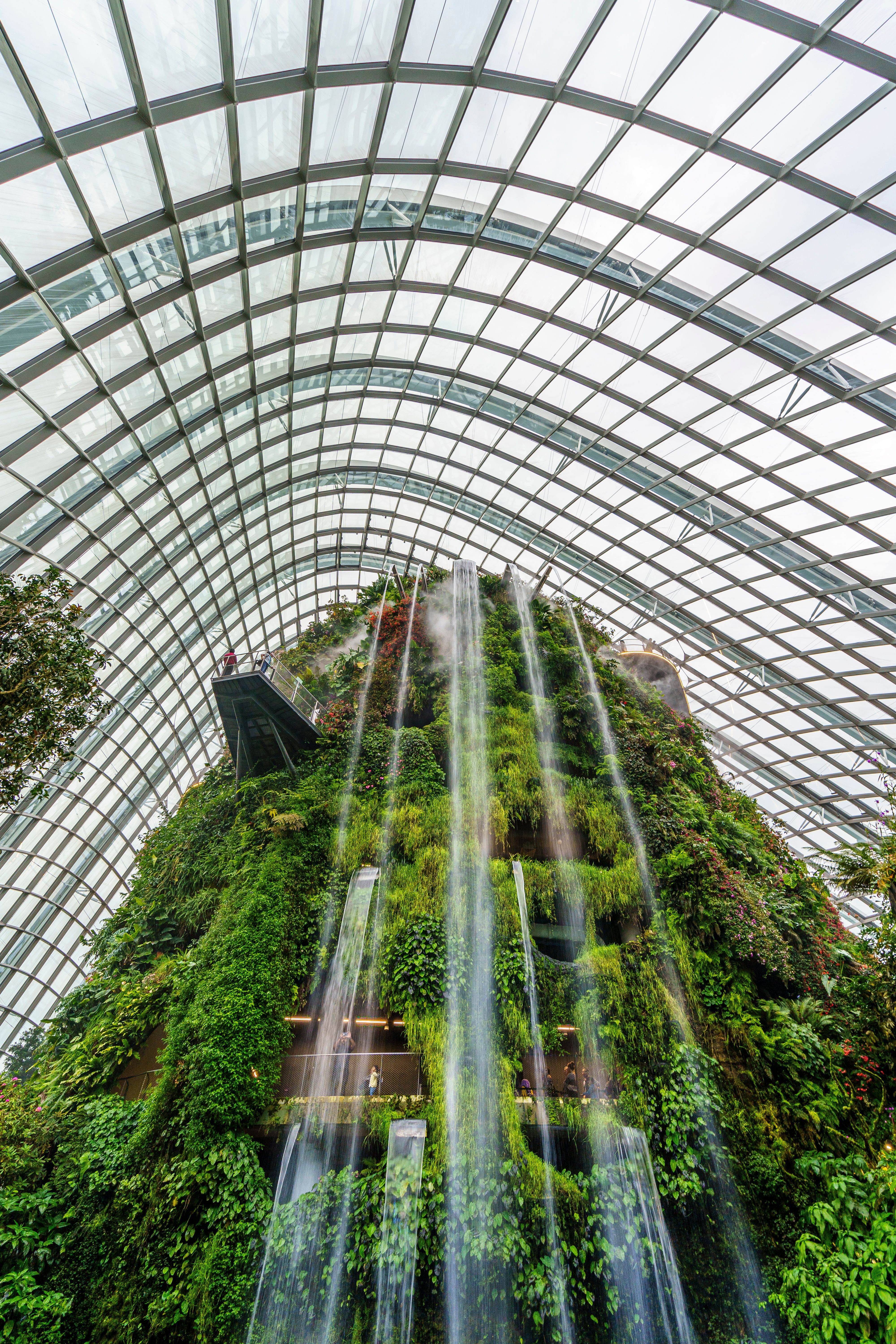 Interior of the Cloud Forest - Botanical Garden in Singapore · Free ...