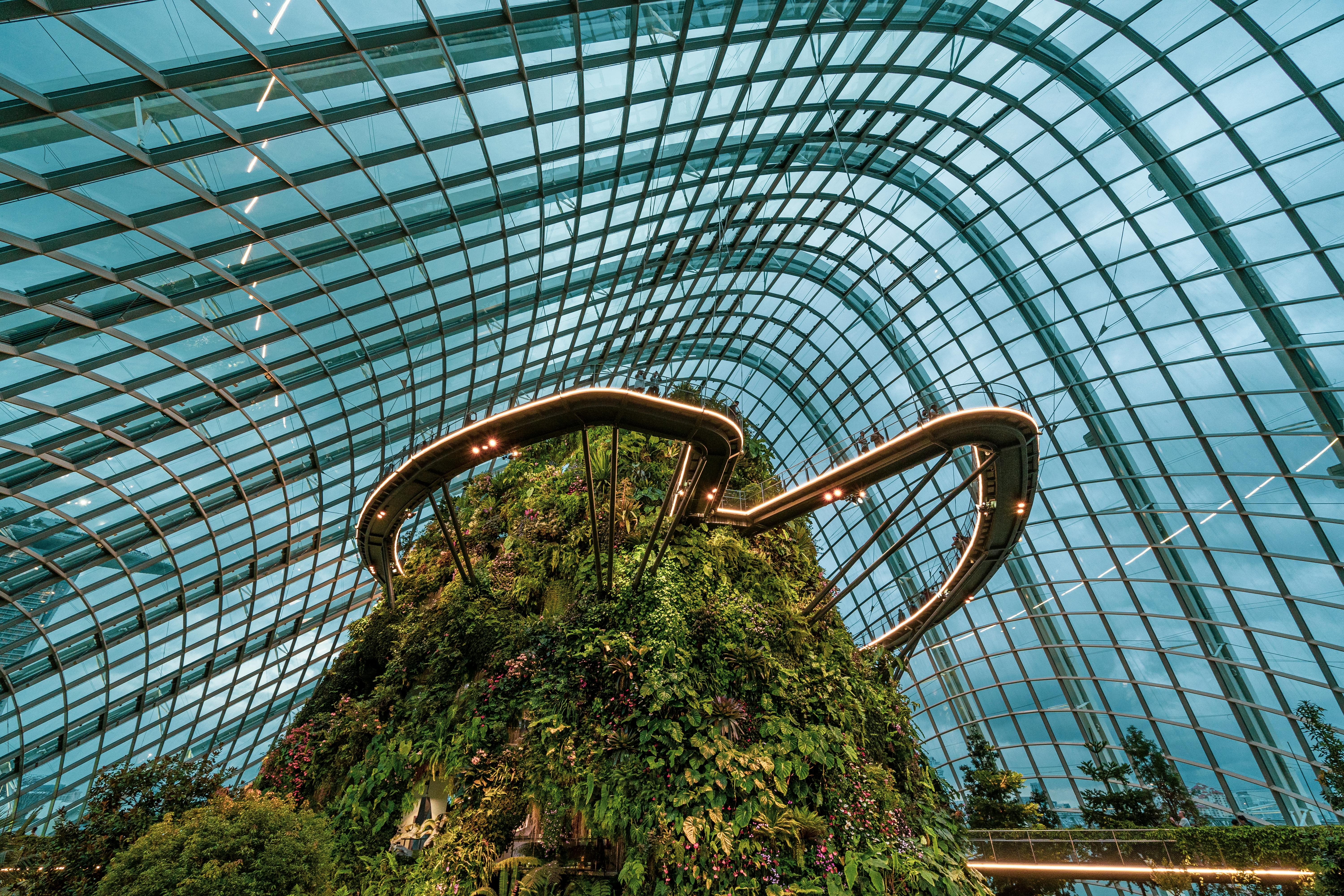 Interior of the Cloud Forest - Botanical Garden in Singapore · Free ...