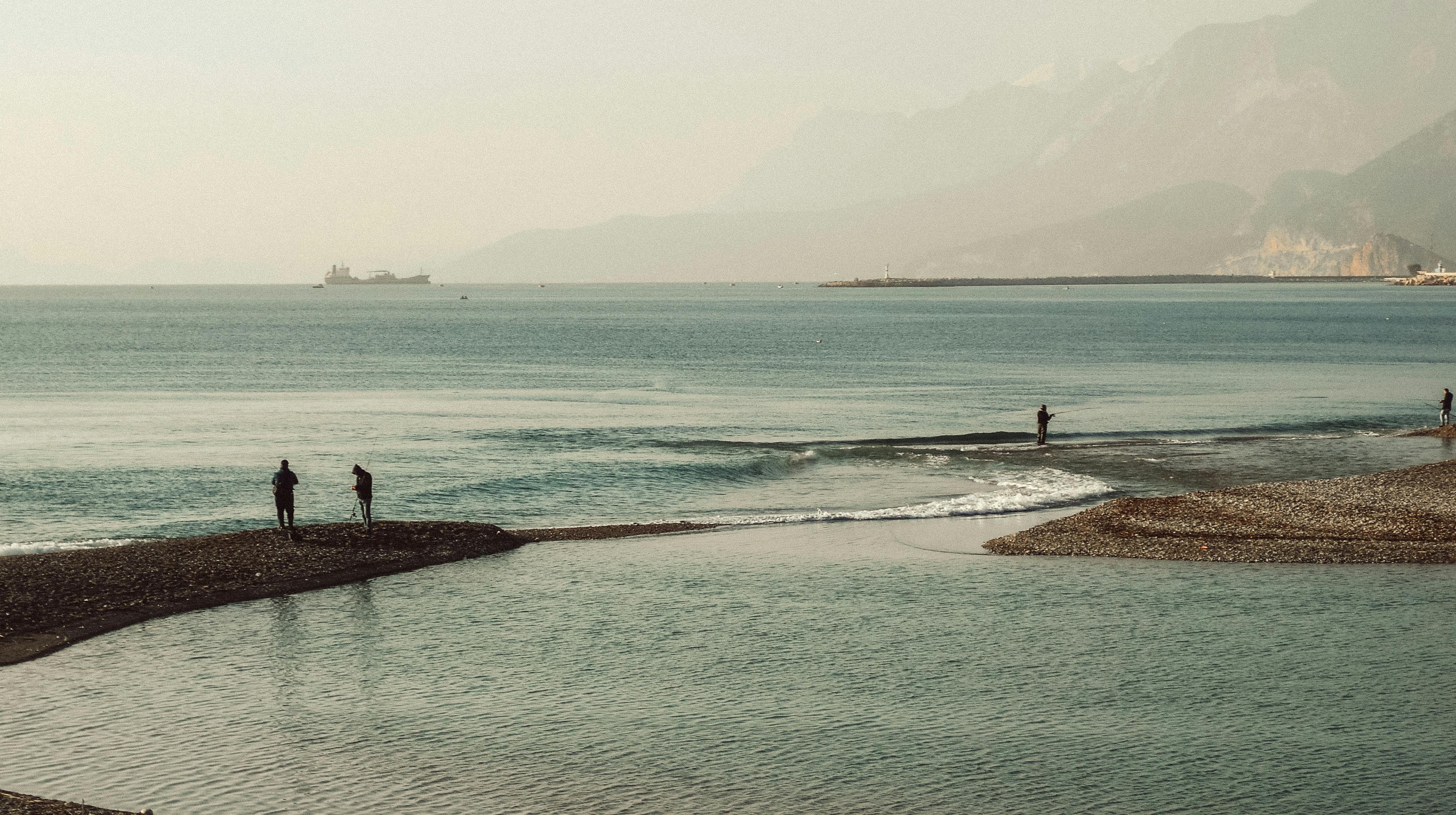 Photo of People on Seashore · Free Stock Photo