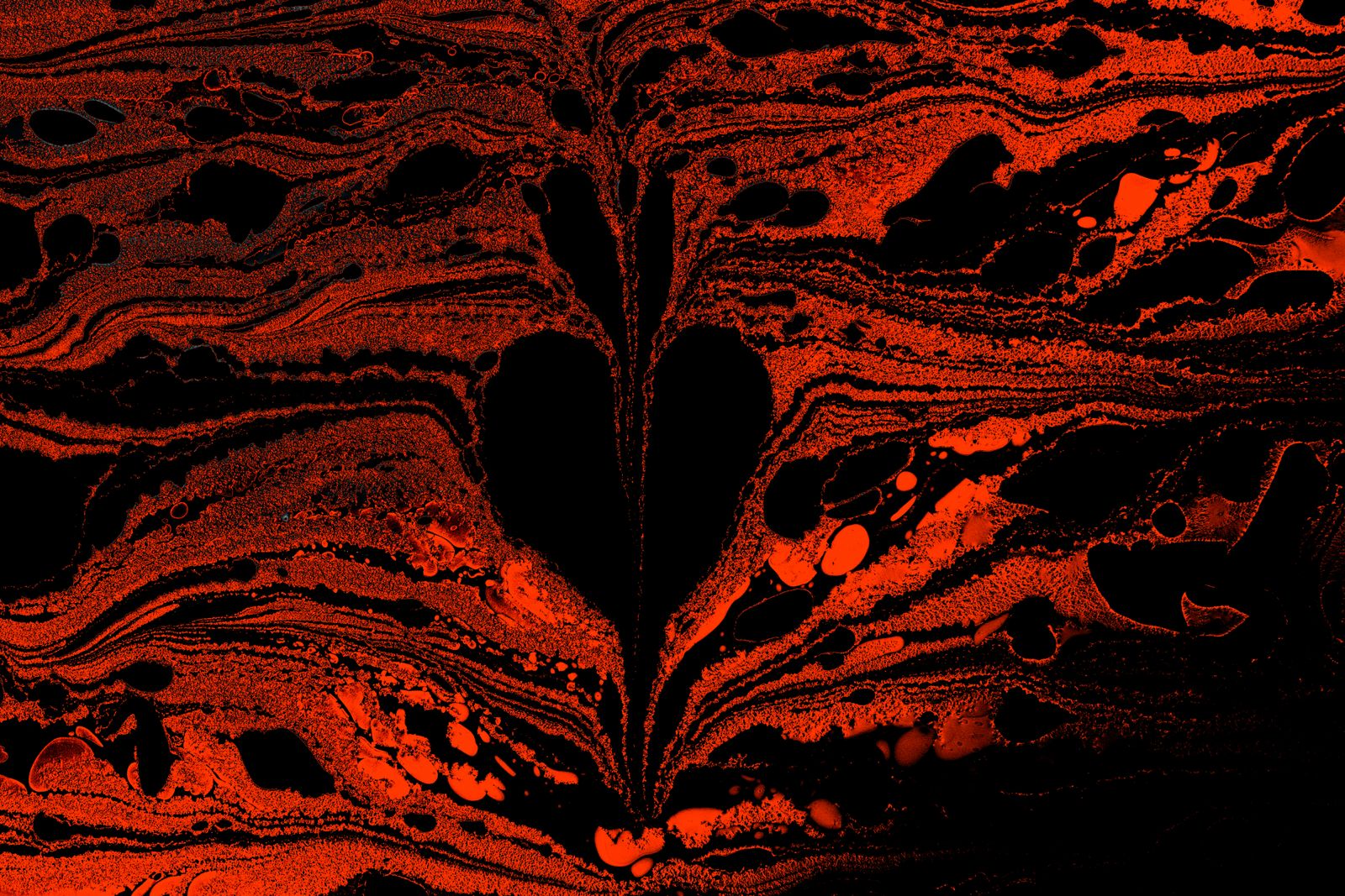 4k Red Black Photos, Download The BEST Free 4k Red Black Stock Photos ...