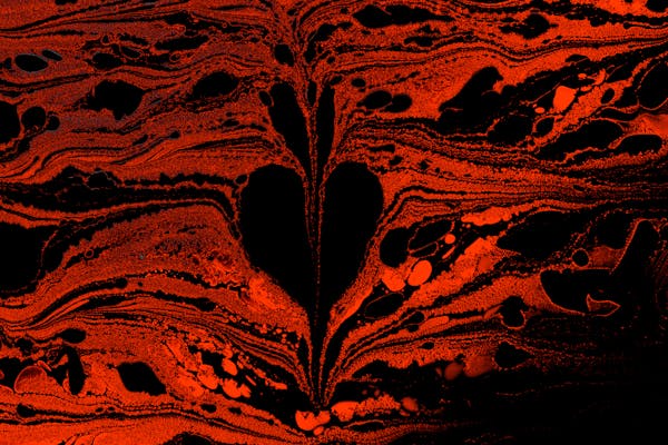 Red Heart 4k Photos, Download The BEST Free Red Heart 4k Stock Photos ...