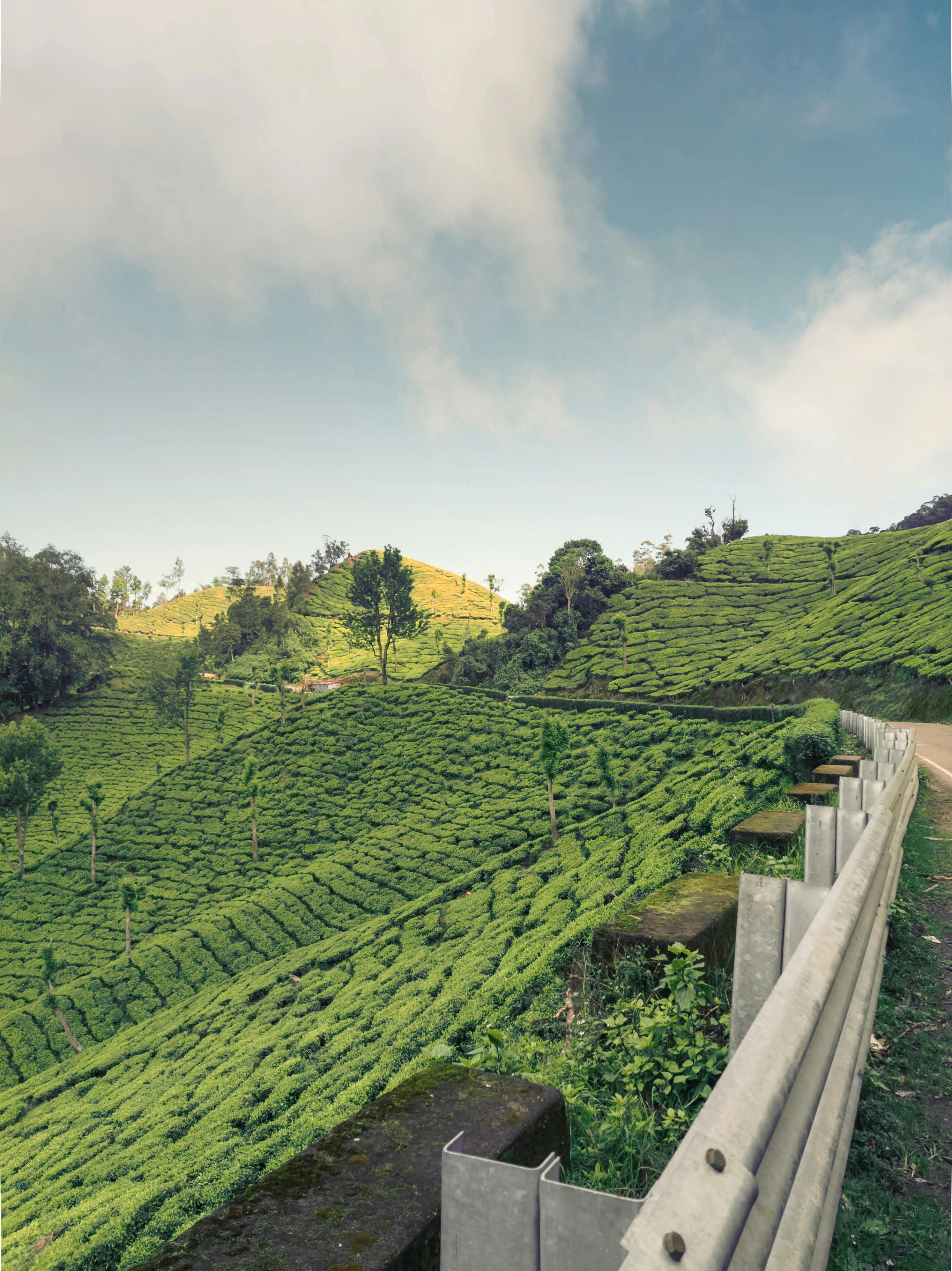 100+张最精彩的“Unsplash Pimple”图片 · 100%免费下载 · Pexels素材图片