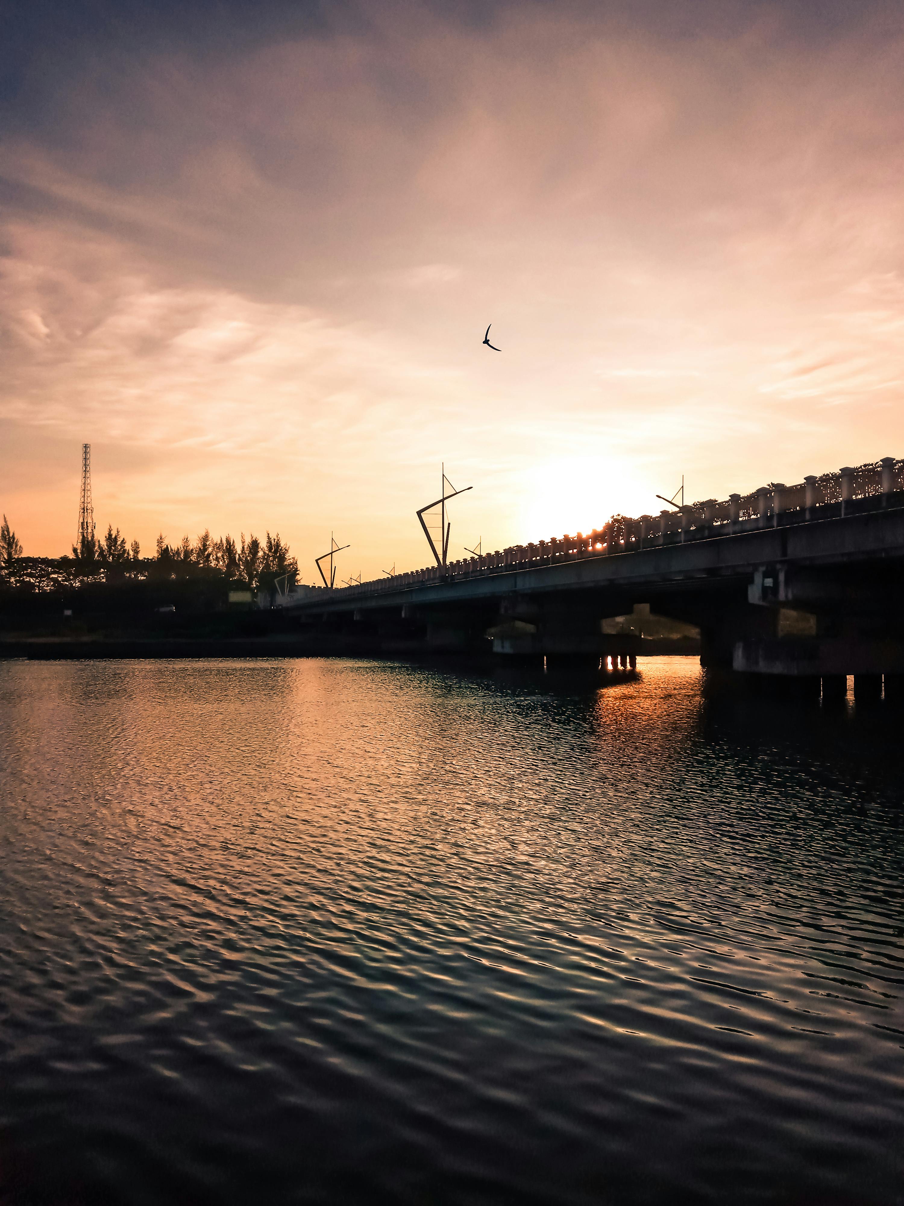 Yeongjong Bridge Photos, Download Free Yeongjong Bridge Stock Photos ... Yeongjong Bridge Photos, Download Free Yeongjong Bridge Stock Photos ...