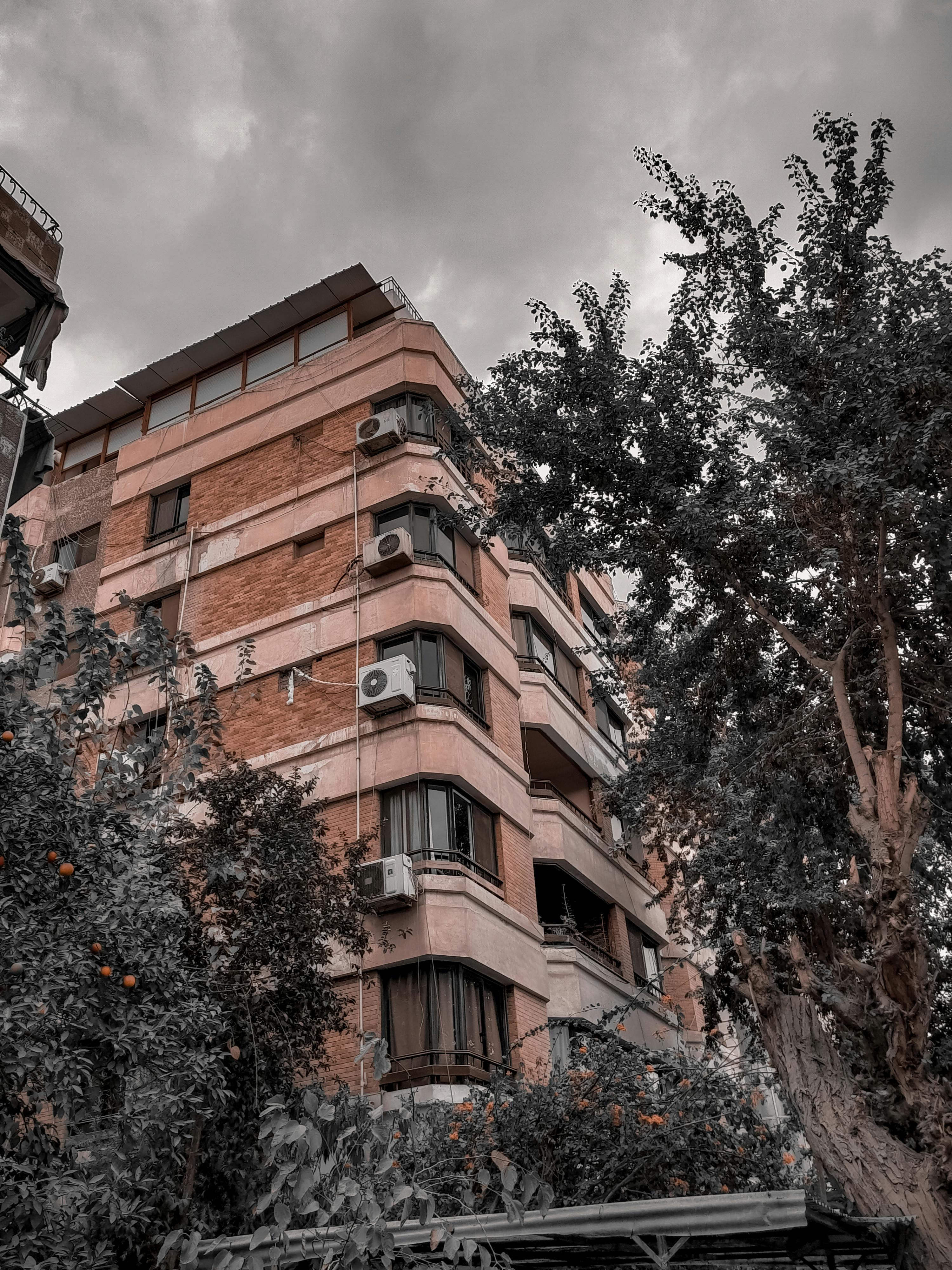 Asma Gamal - Fotografía