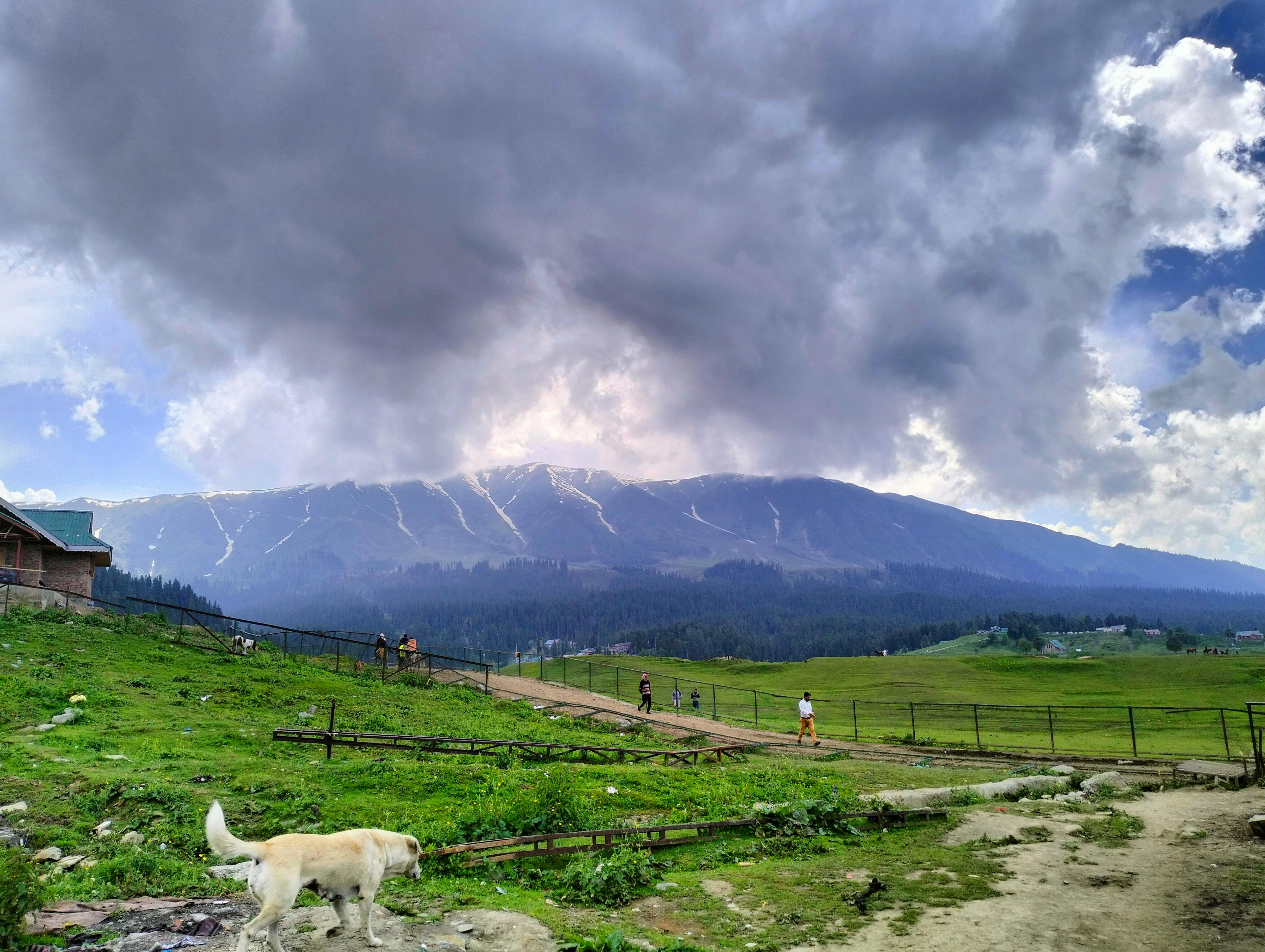 Gulmarg Resort in Summer · Free Stock Photo