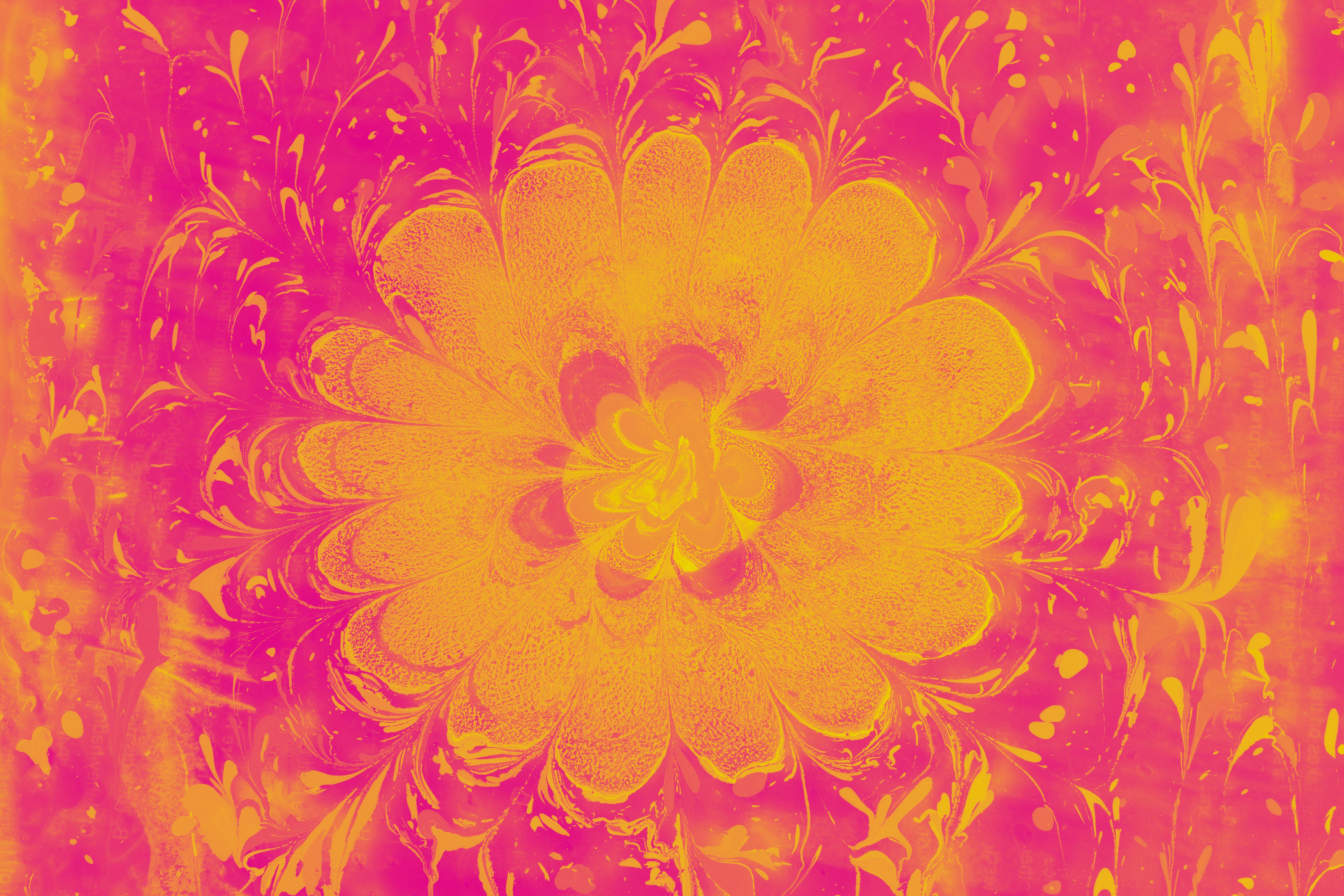 Person Holding Yellow Black-eyed Susan Flowers in Bloom · Free Stock Photo