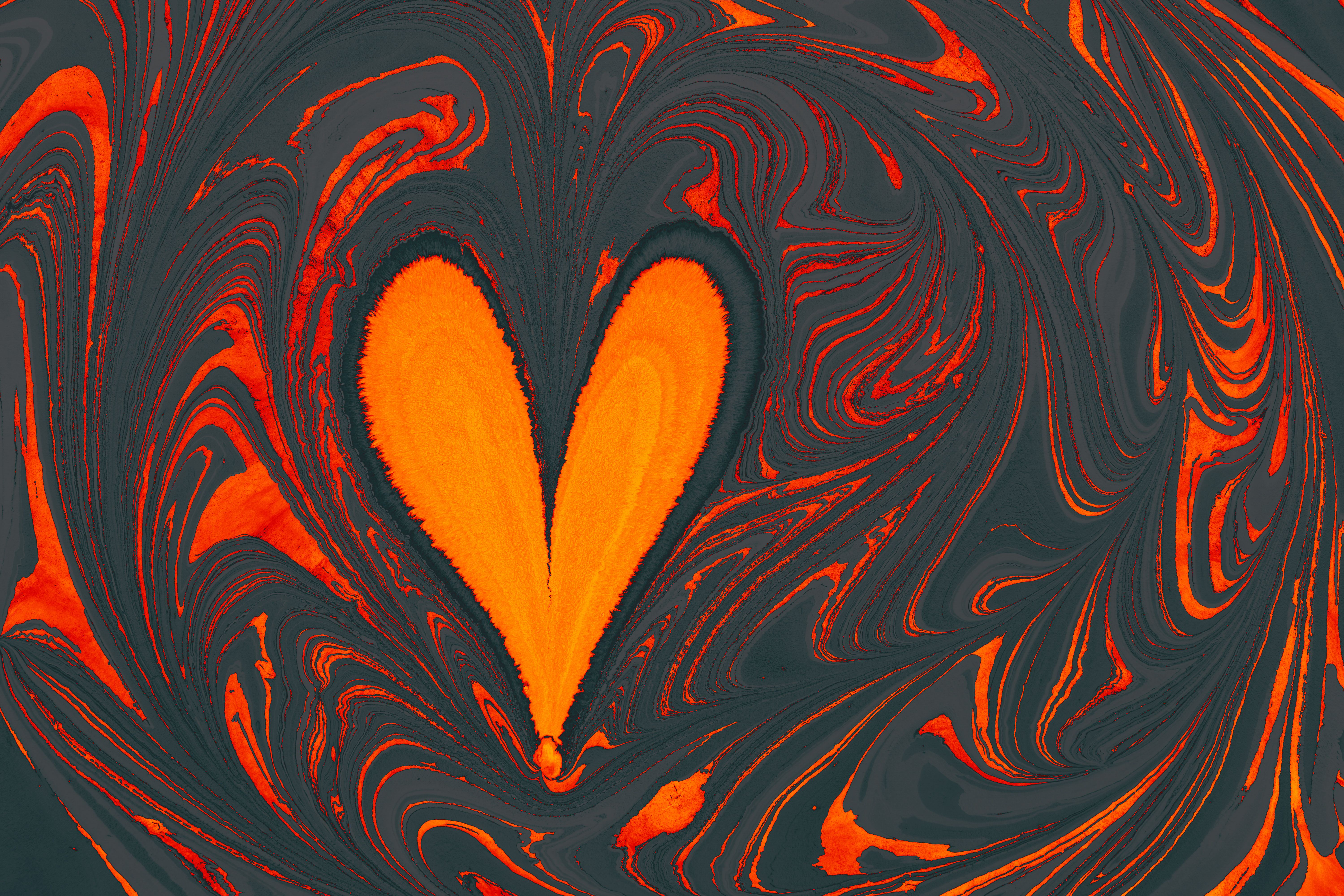 Heart Shape Yellow Flower Petals · Free Stock Photo