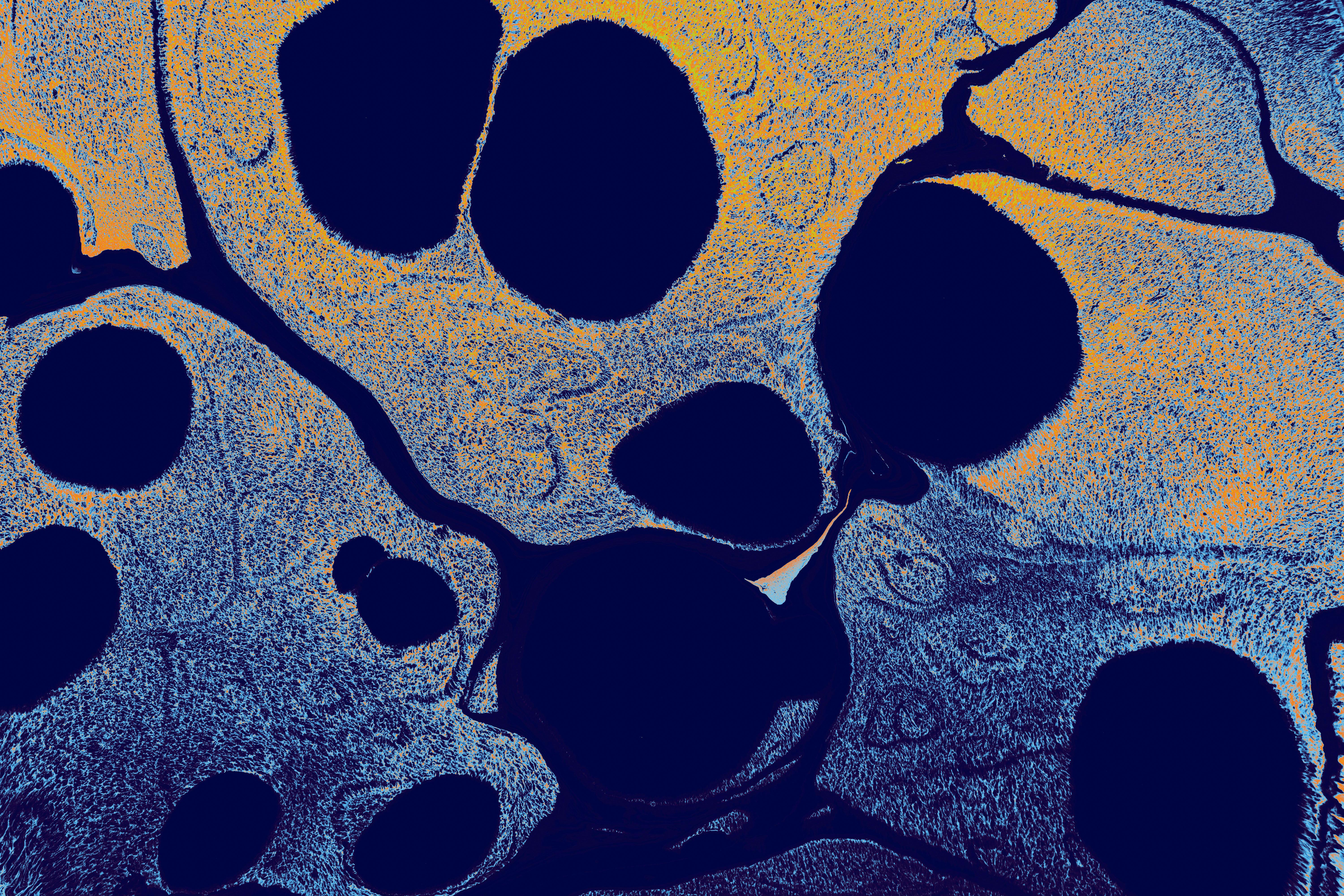 Basic Blue Background Photos, Download The BEST Free Basic Blue ...