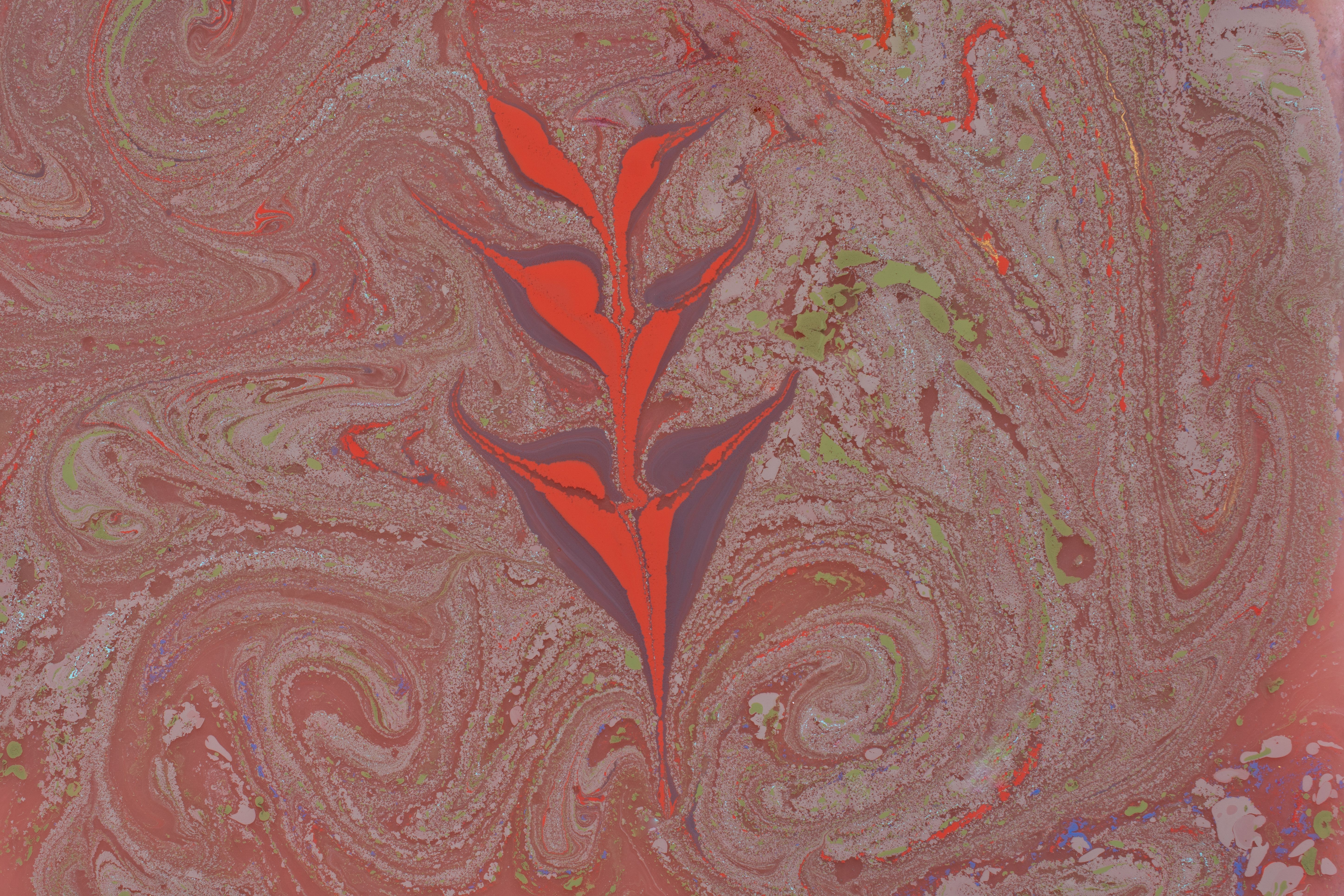 A red and black swirl with a red flower · Free Stock Photo
