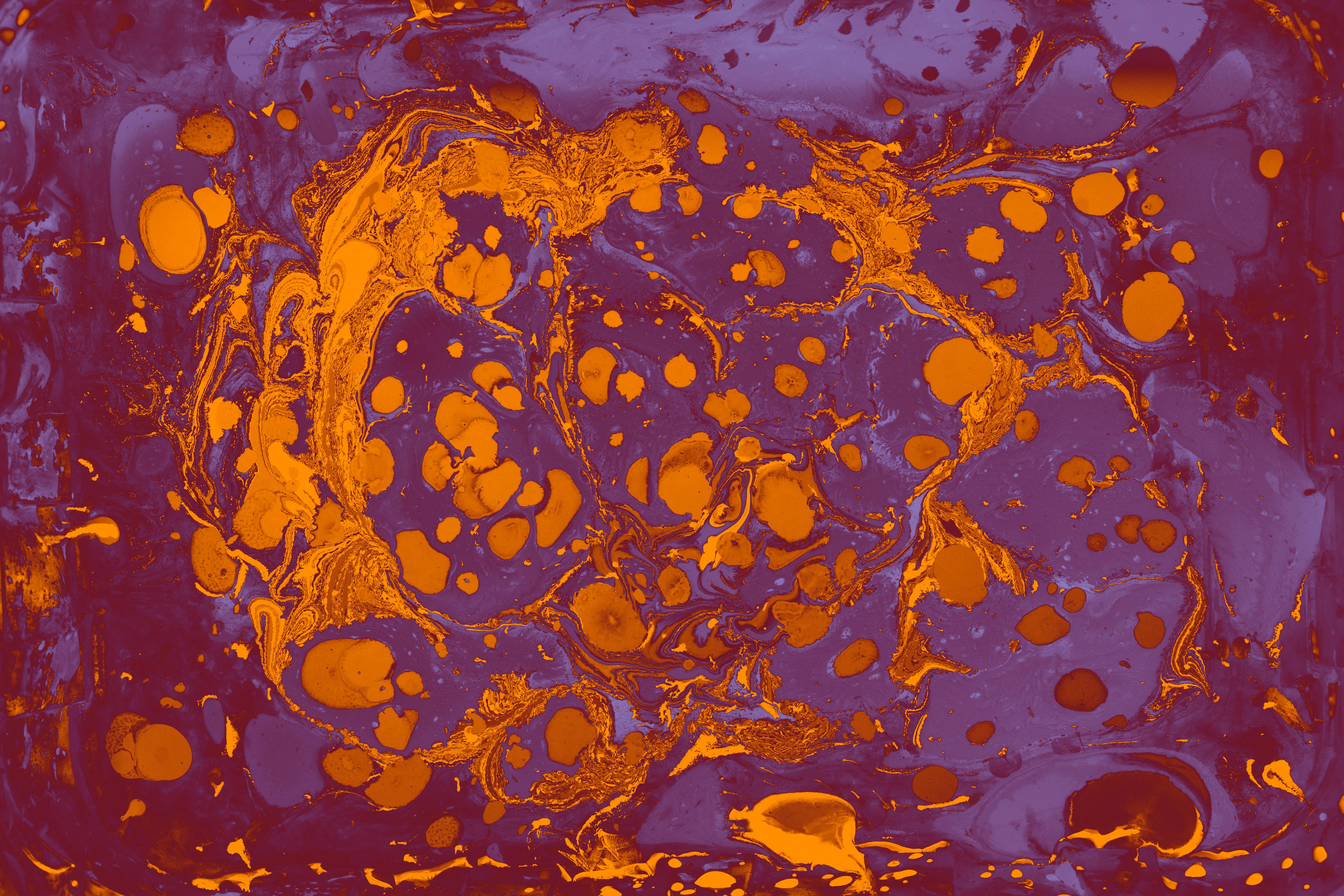 Dost Achtergrond Photos, Download The BEST Free Dost Achtergrond Stock ...