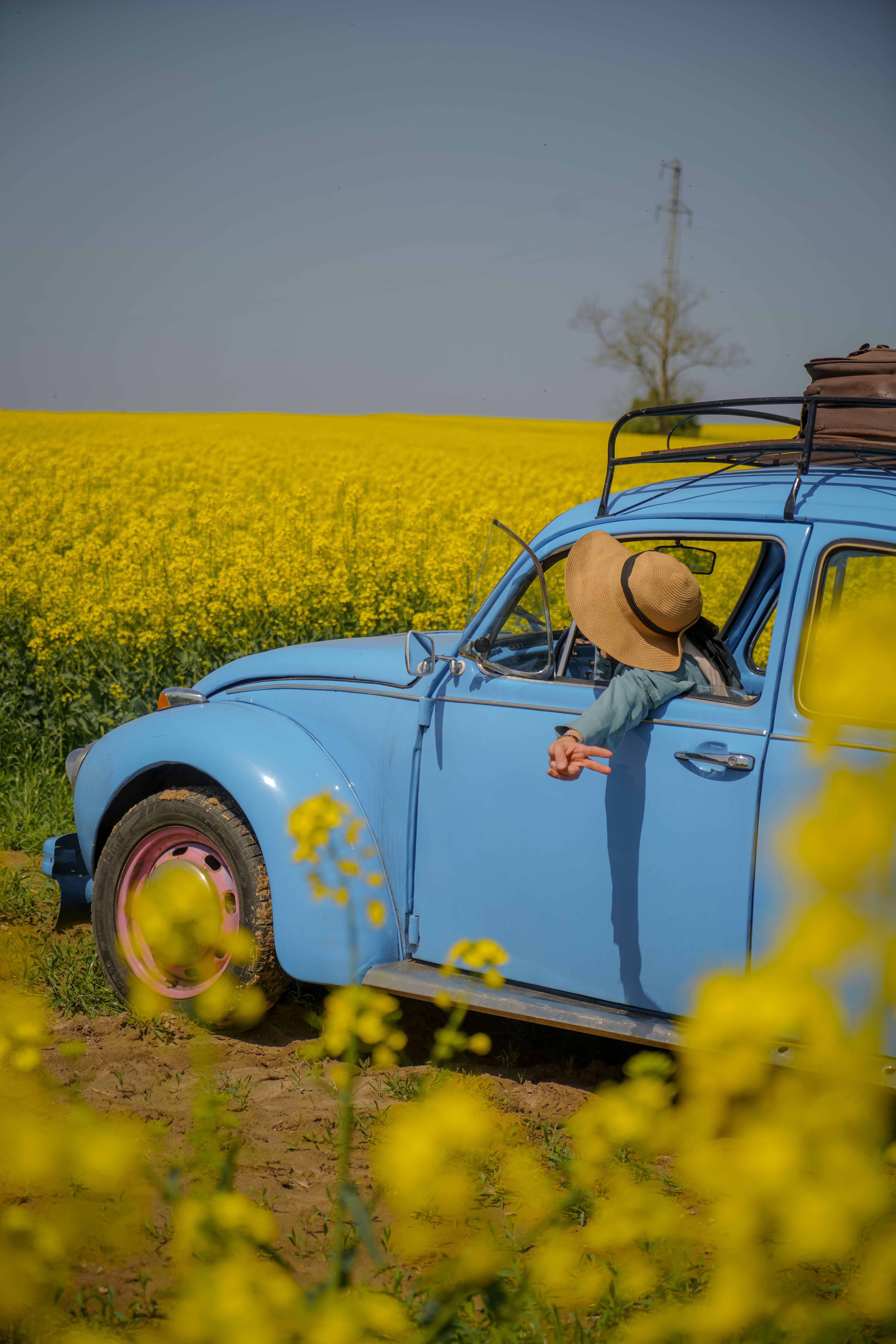 Nostalgic Nature Sun Photos, Download The BEST Free Nostalgic Nature ...