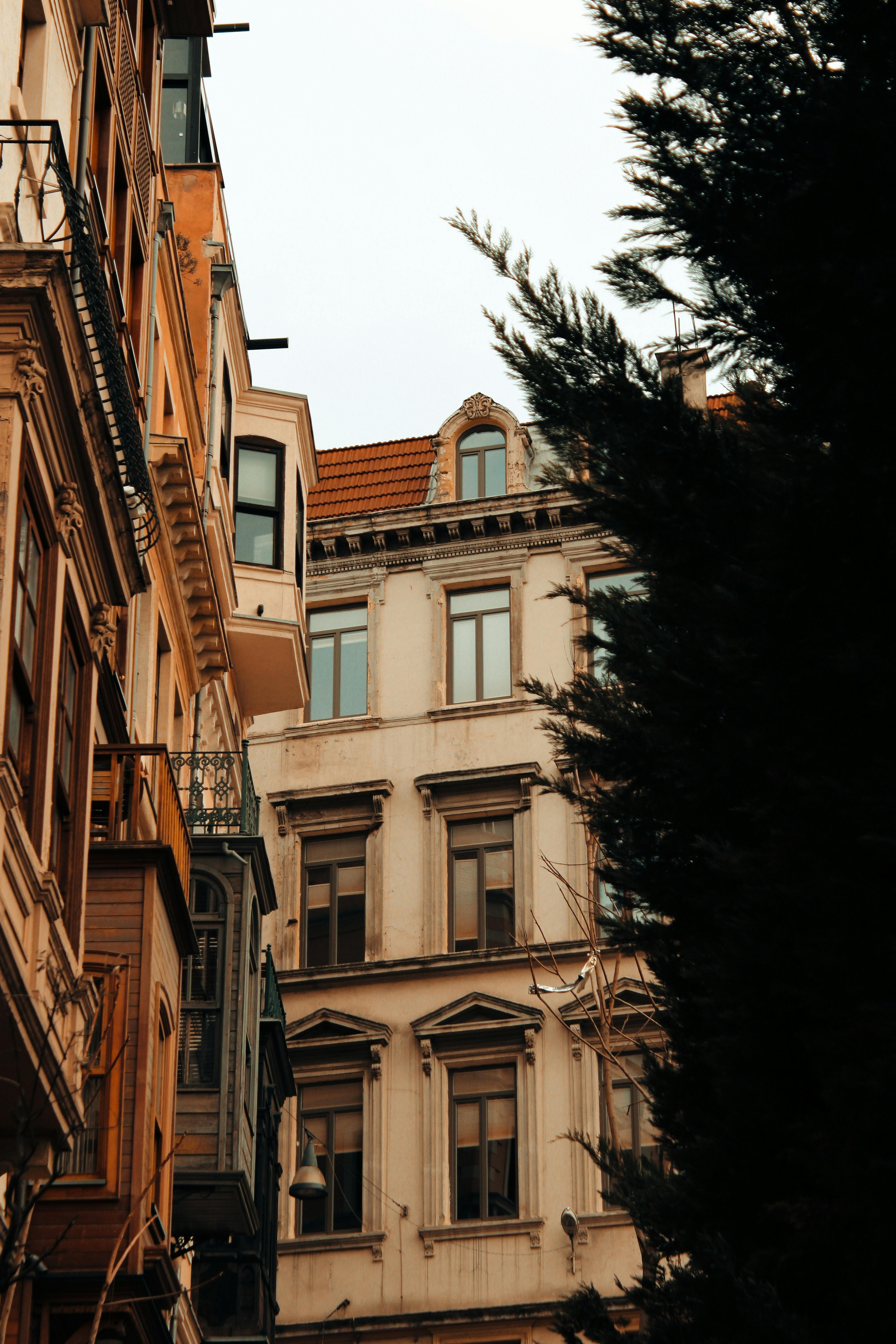 Trees near Buildings · Free Stock Photo