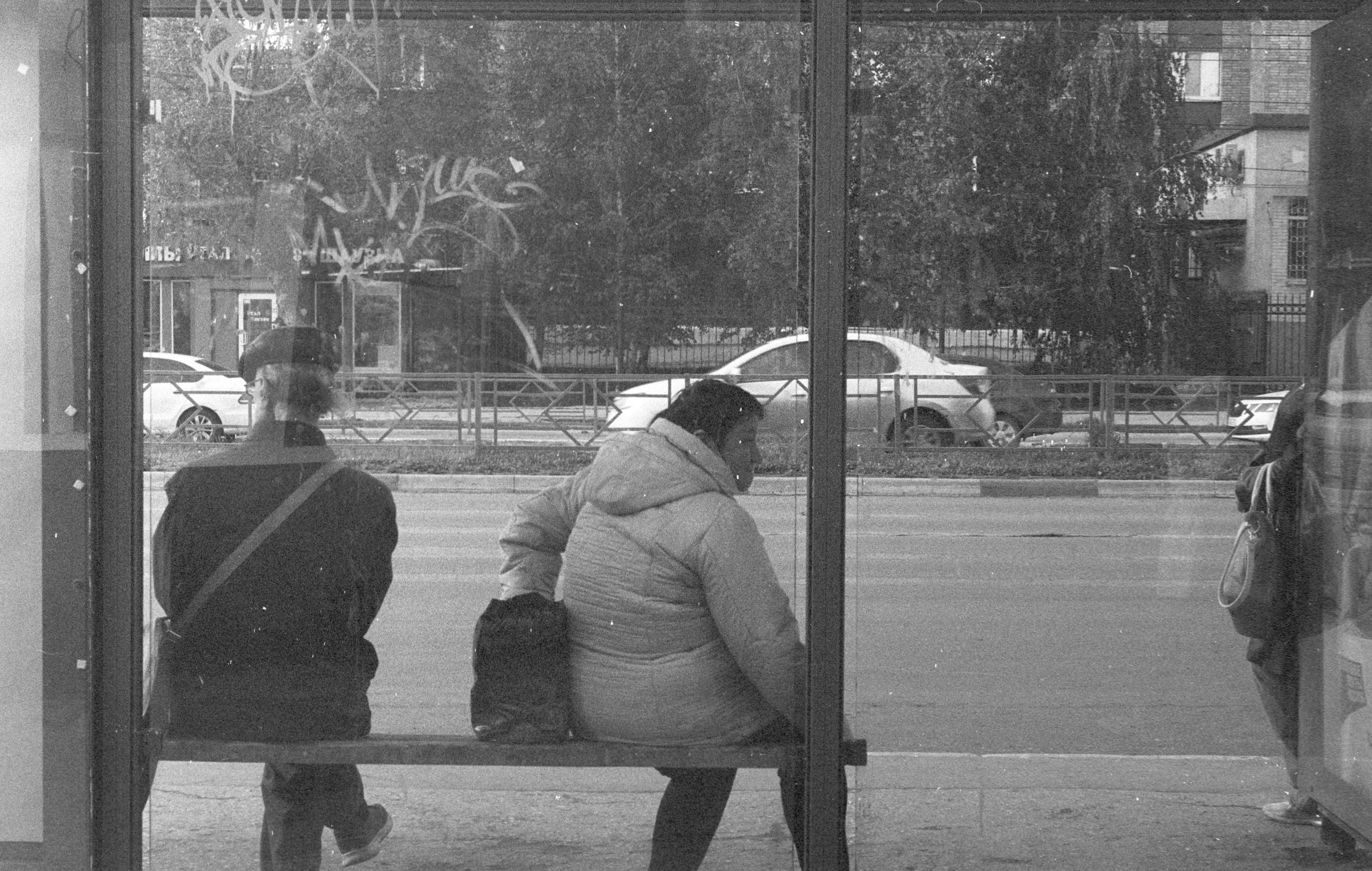 People Sitting on Bench at Bus Stop · Free Stock Photo