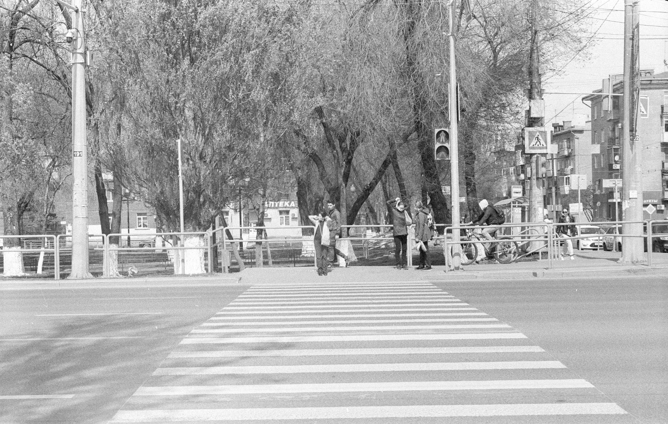 People Crossing on Pedestrian Lane · Free Stock Photo