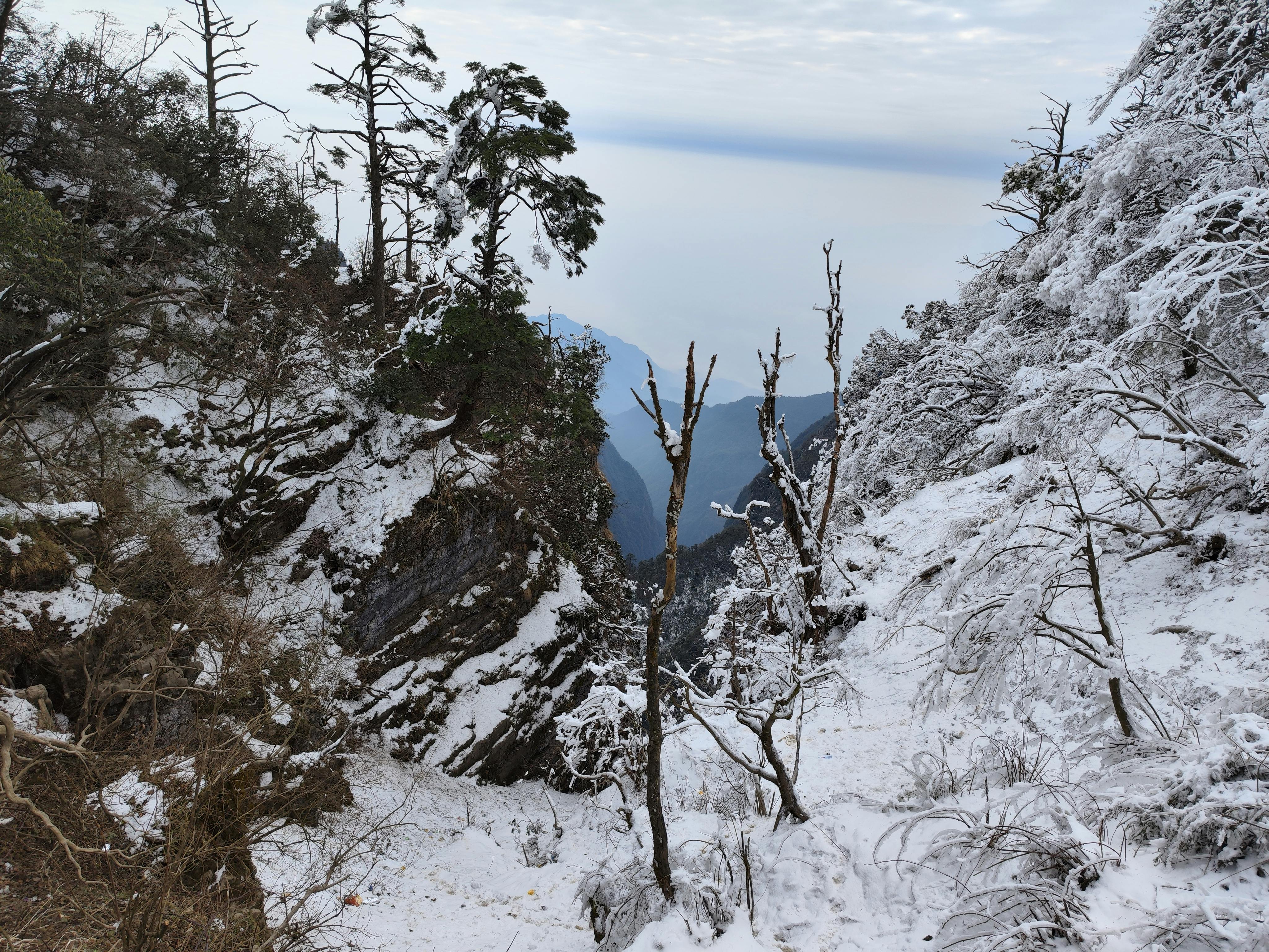 Lone Tree Surrounded by Snowcap Mountain Under Blue Sky · Free Stock Photo