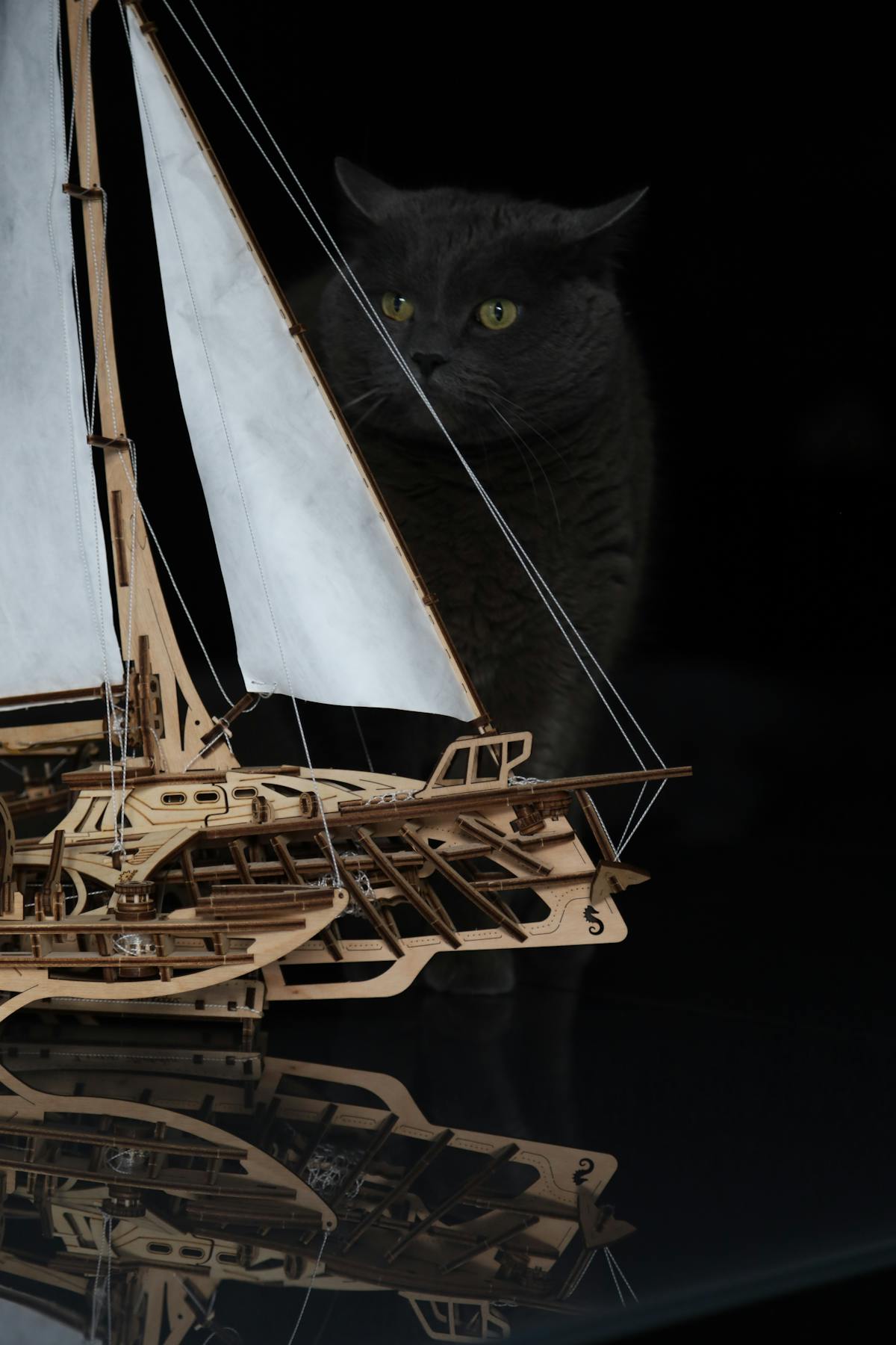 Hobbie Cat Sailboat Photos, Download The BEST Free Hobbie Cat Sailboat ...