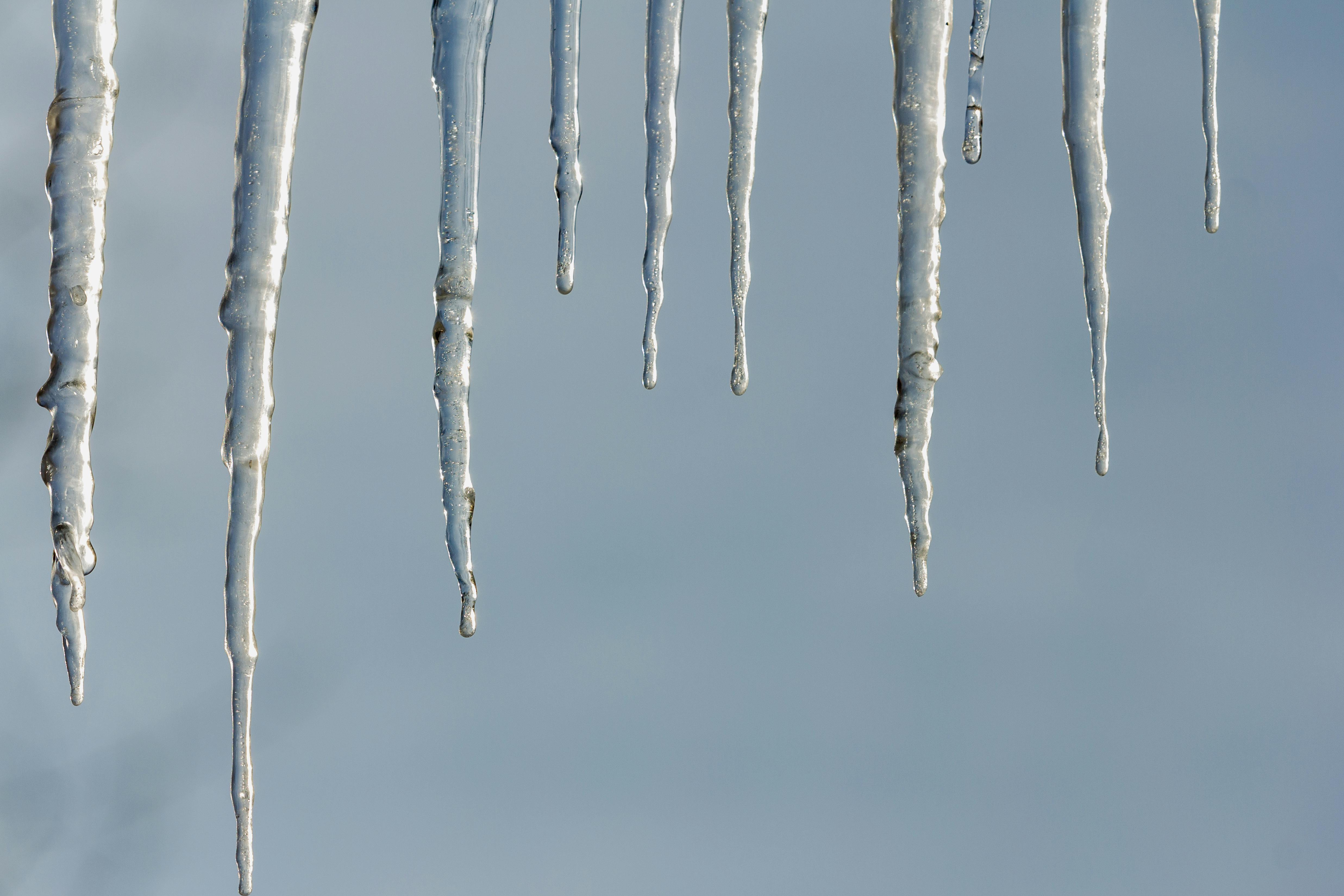 Hanging Icicles in Winter · Free Stock Photo