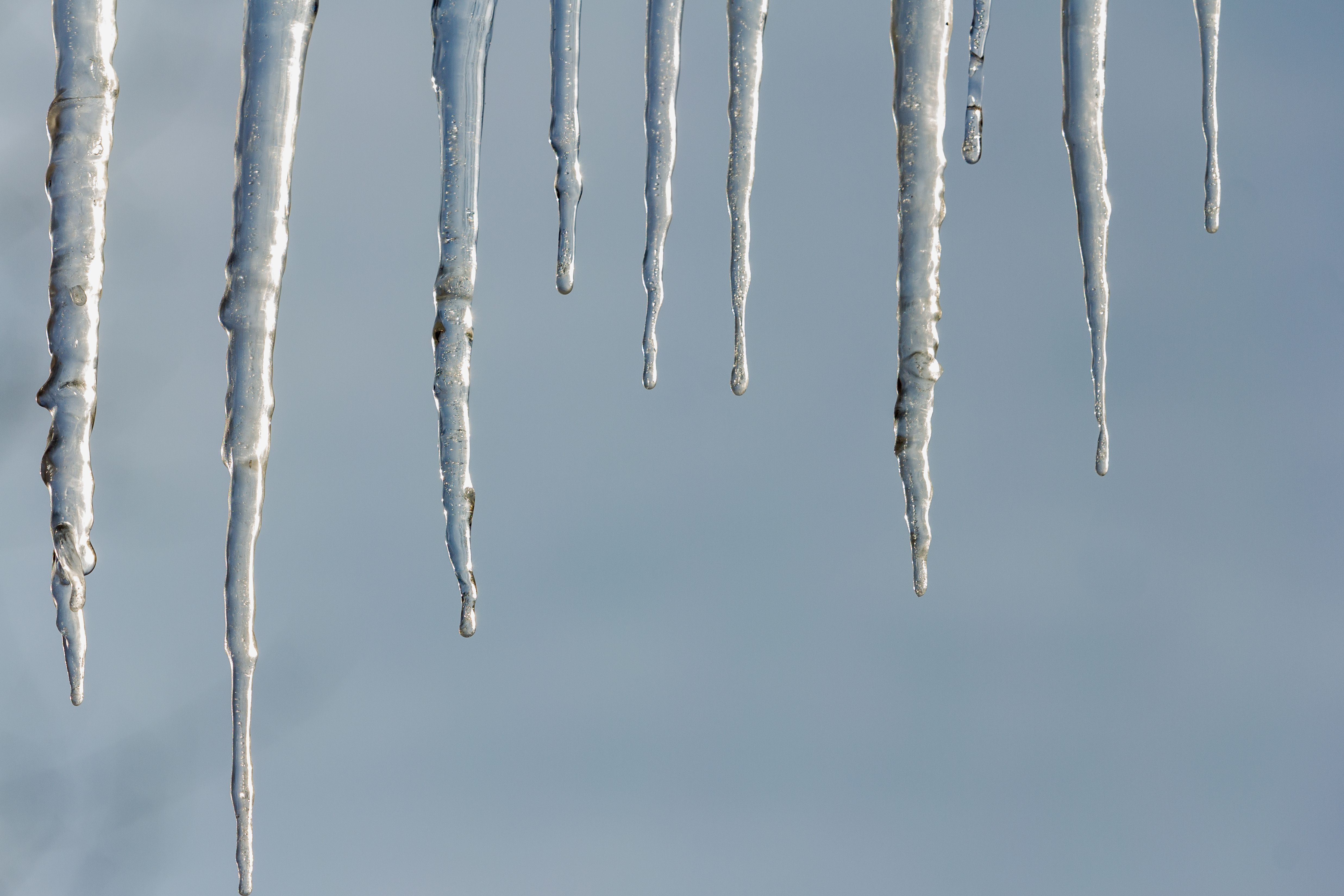 Hanging Icicles in Winter · Free Stock Photo