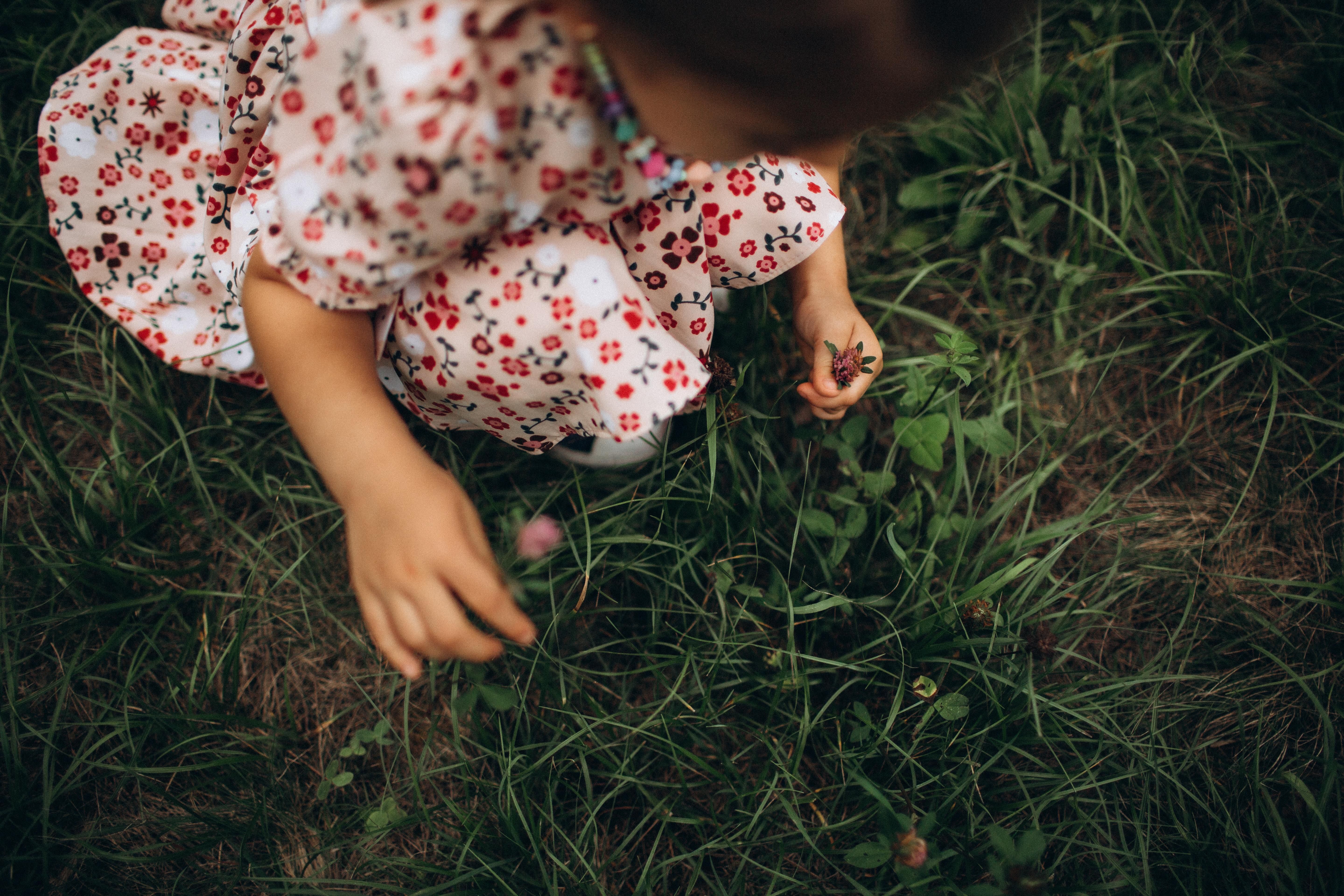 A Child Picking up a Flower · Free Stock Photo