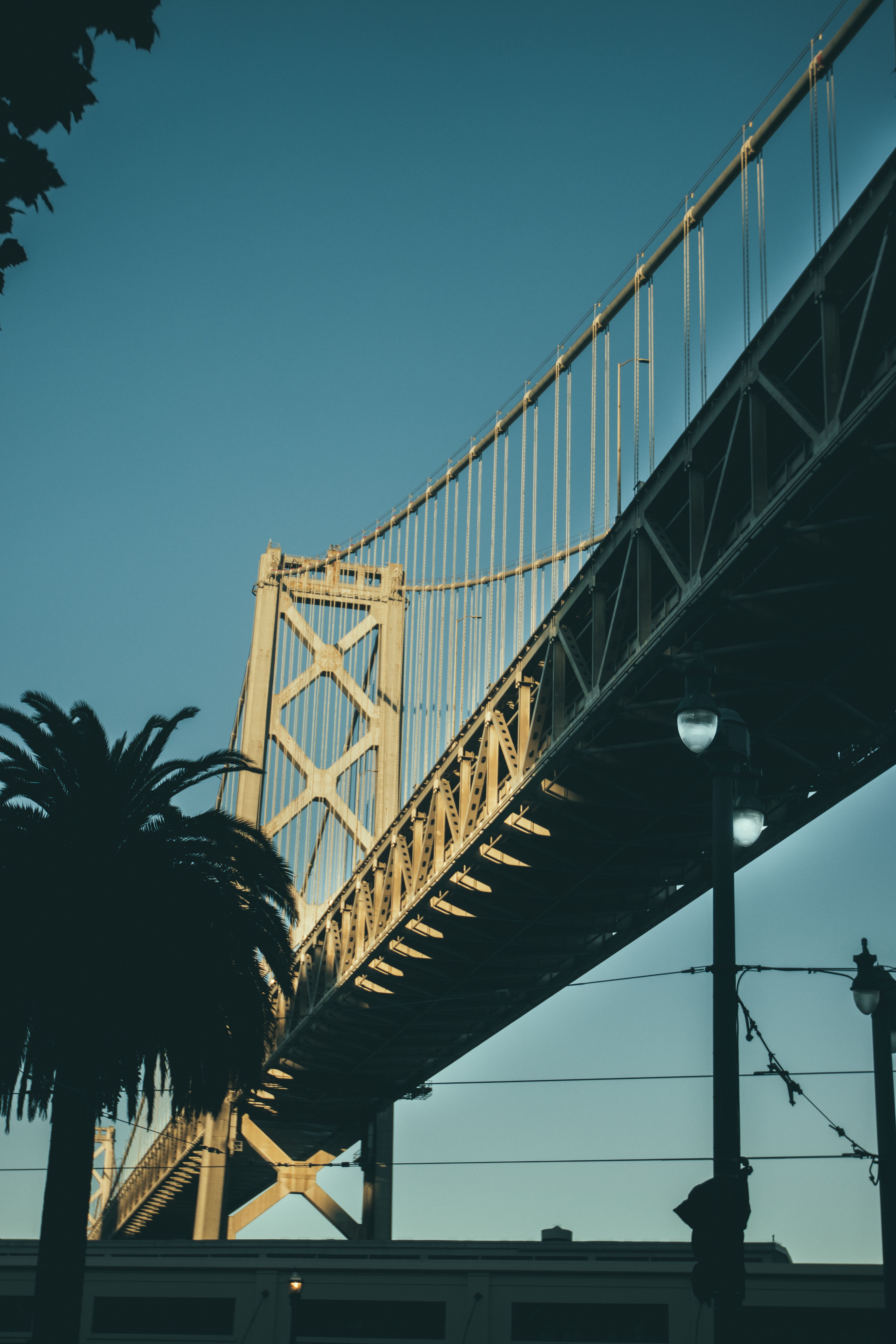 Low Angle View of a Bridge · Free Stock Photo