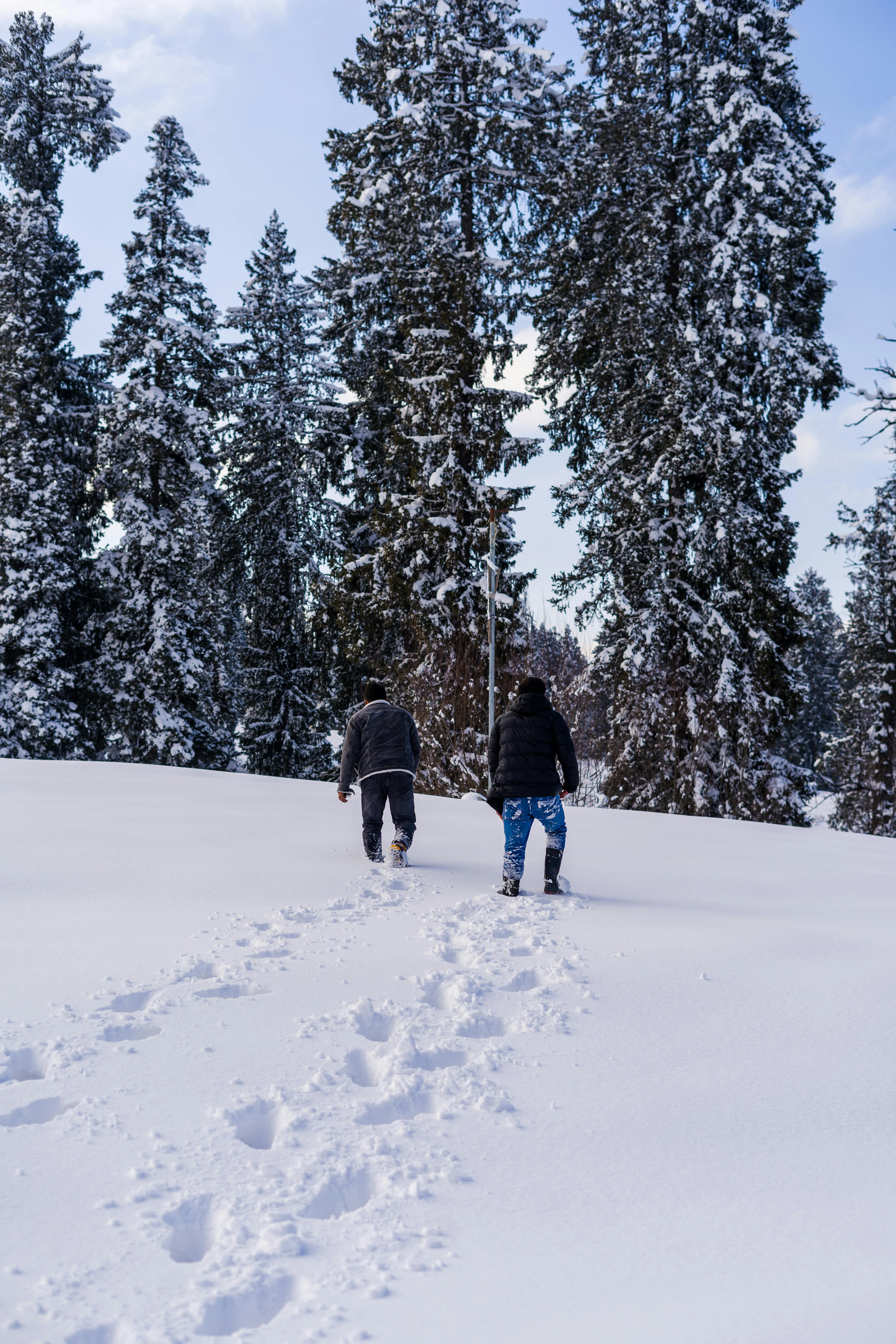 Two People Walking in Snow · Free Stock Photo