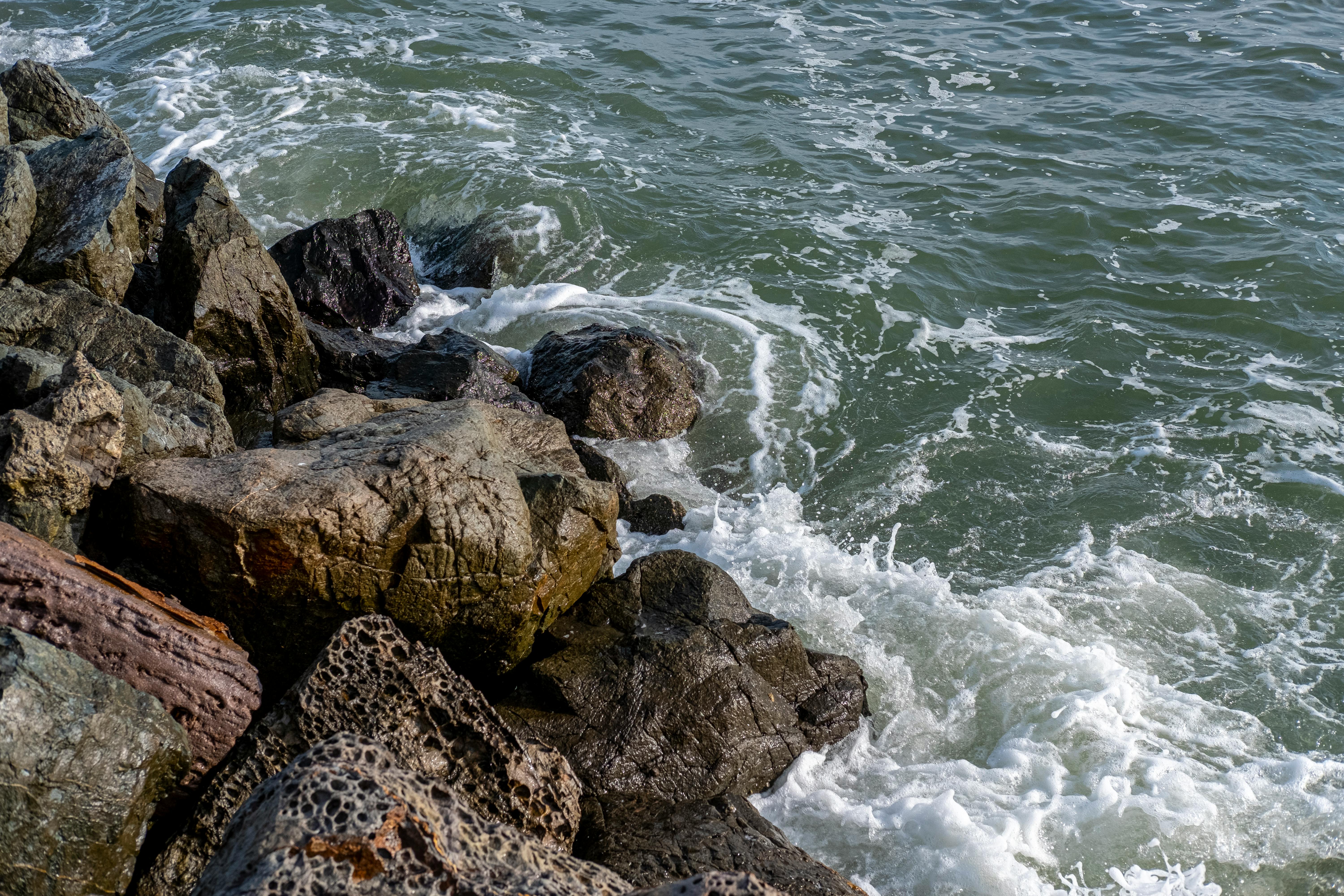 Close up of Rocks on Shore · Free Stock Photo