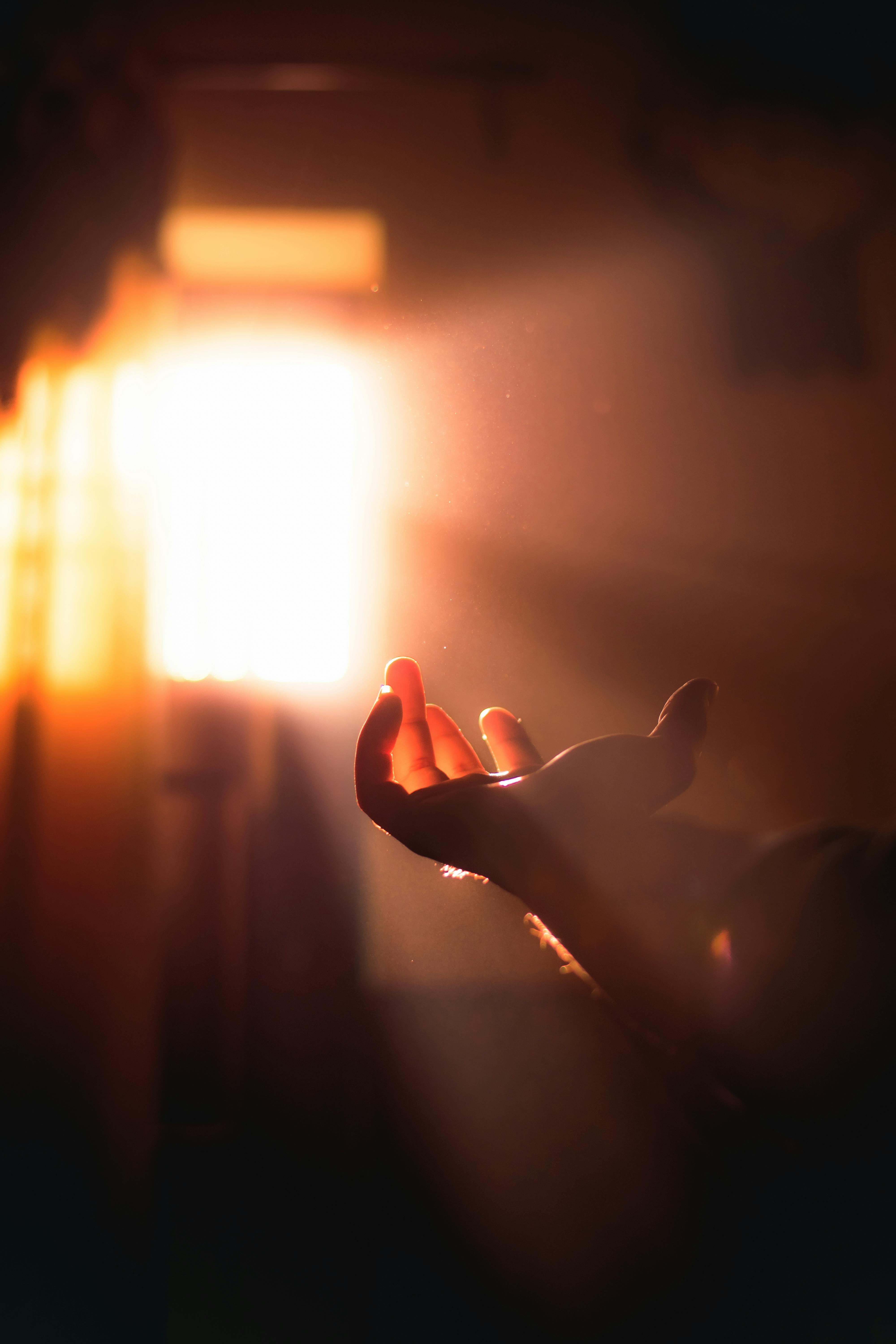 Human Hand in Light at the Concert · Free Stock Photo