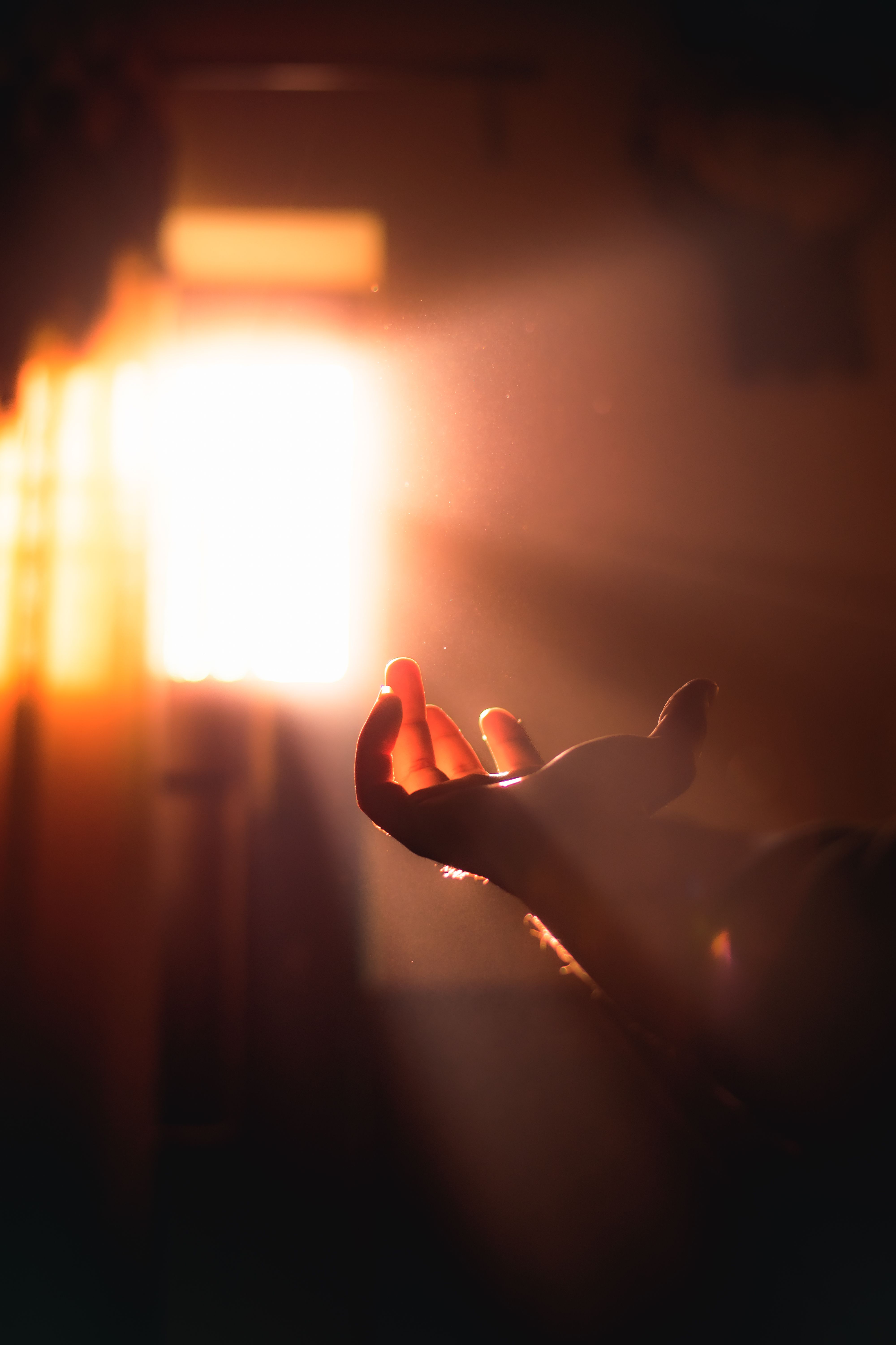A person's hand reaching out to the light · Free Stock Photo