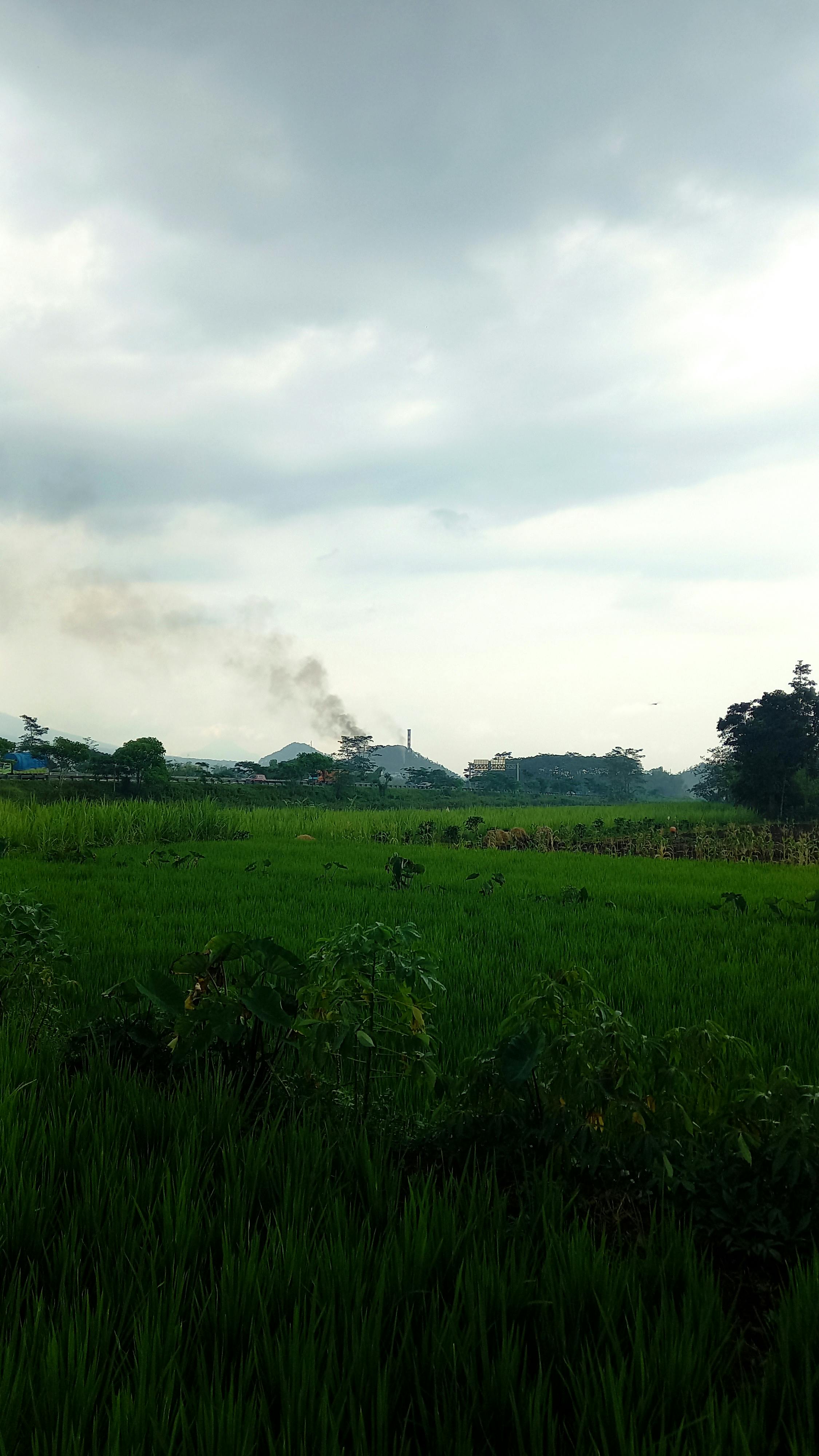 Adam Fairus - Fotografía