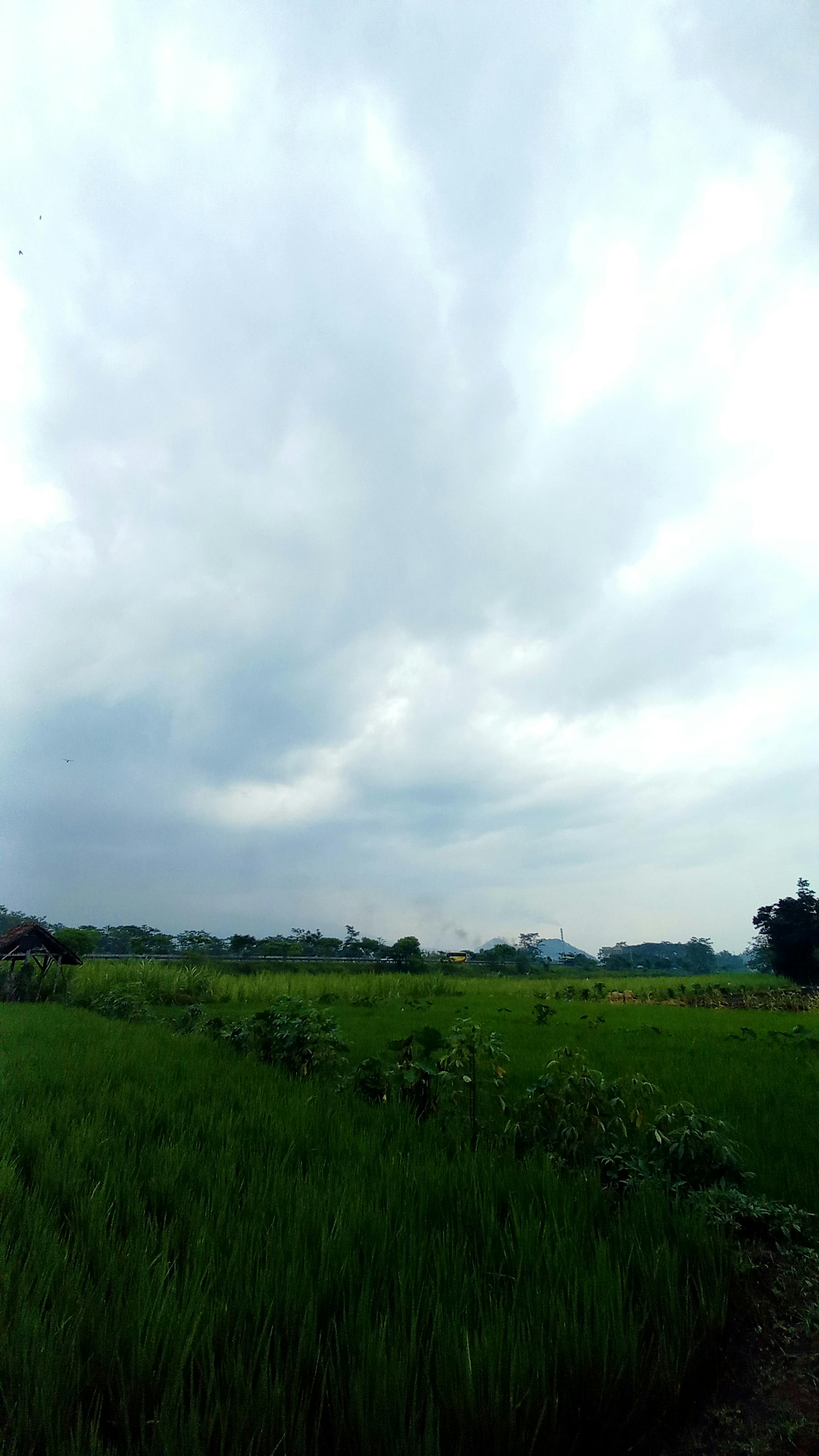 Adam Fairus - Fotografía