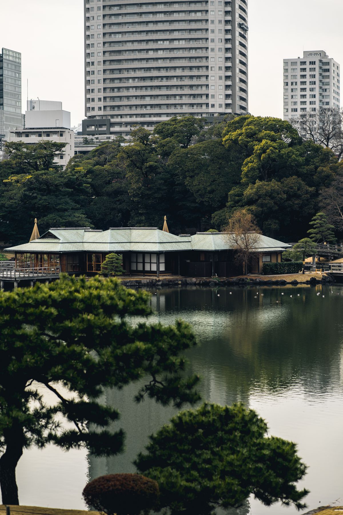 Japanese Lake Hibara Photos, Download The BEST Free Japanese Lake ...