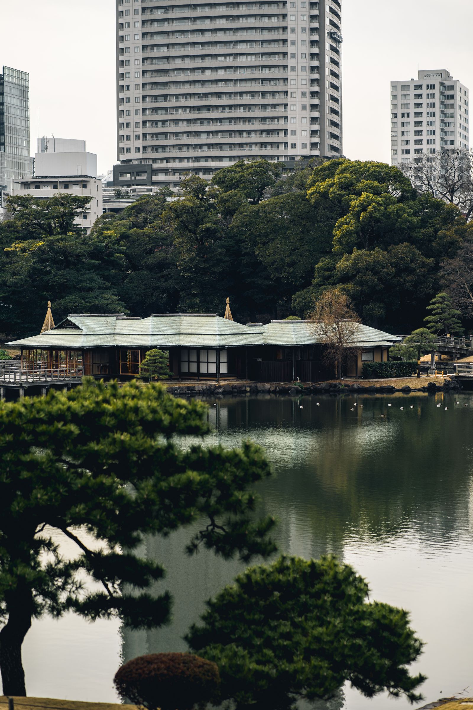 Japanese Lake Hibara Photos, Download The BEST Free Japanese Lake ...