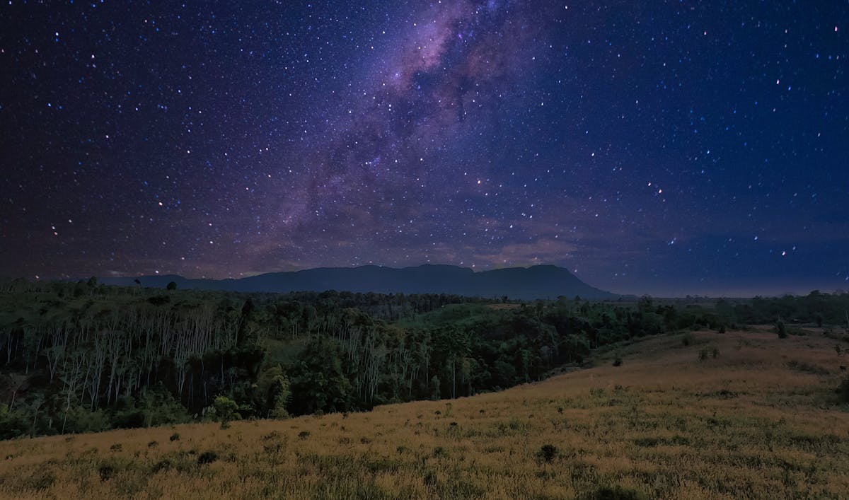 Night Forest Wallpaper 4k Photos, Download The BEST Free Night Forest ...