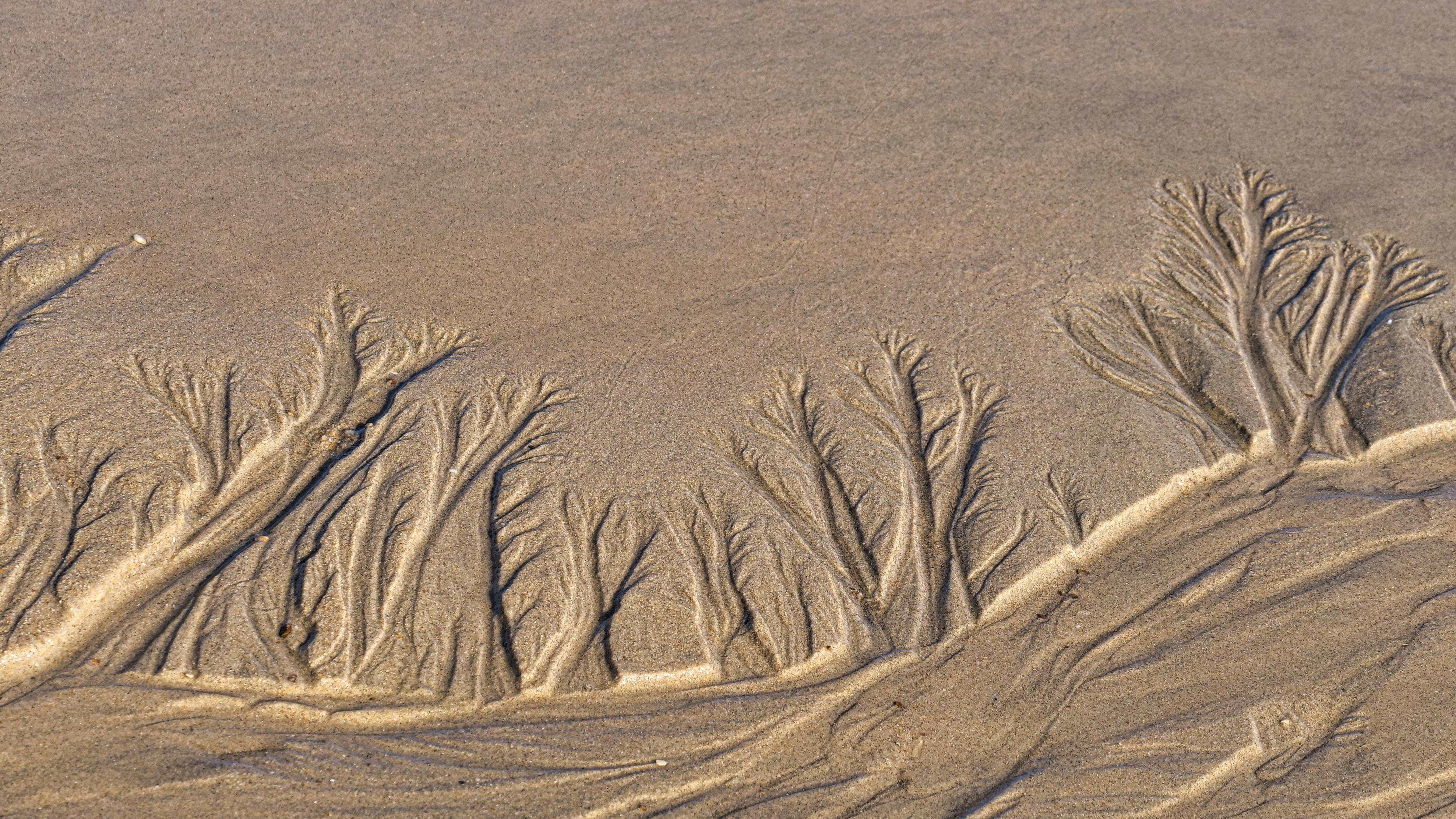 Brown Sand Under Blue Sky · Free Stock Photo