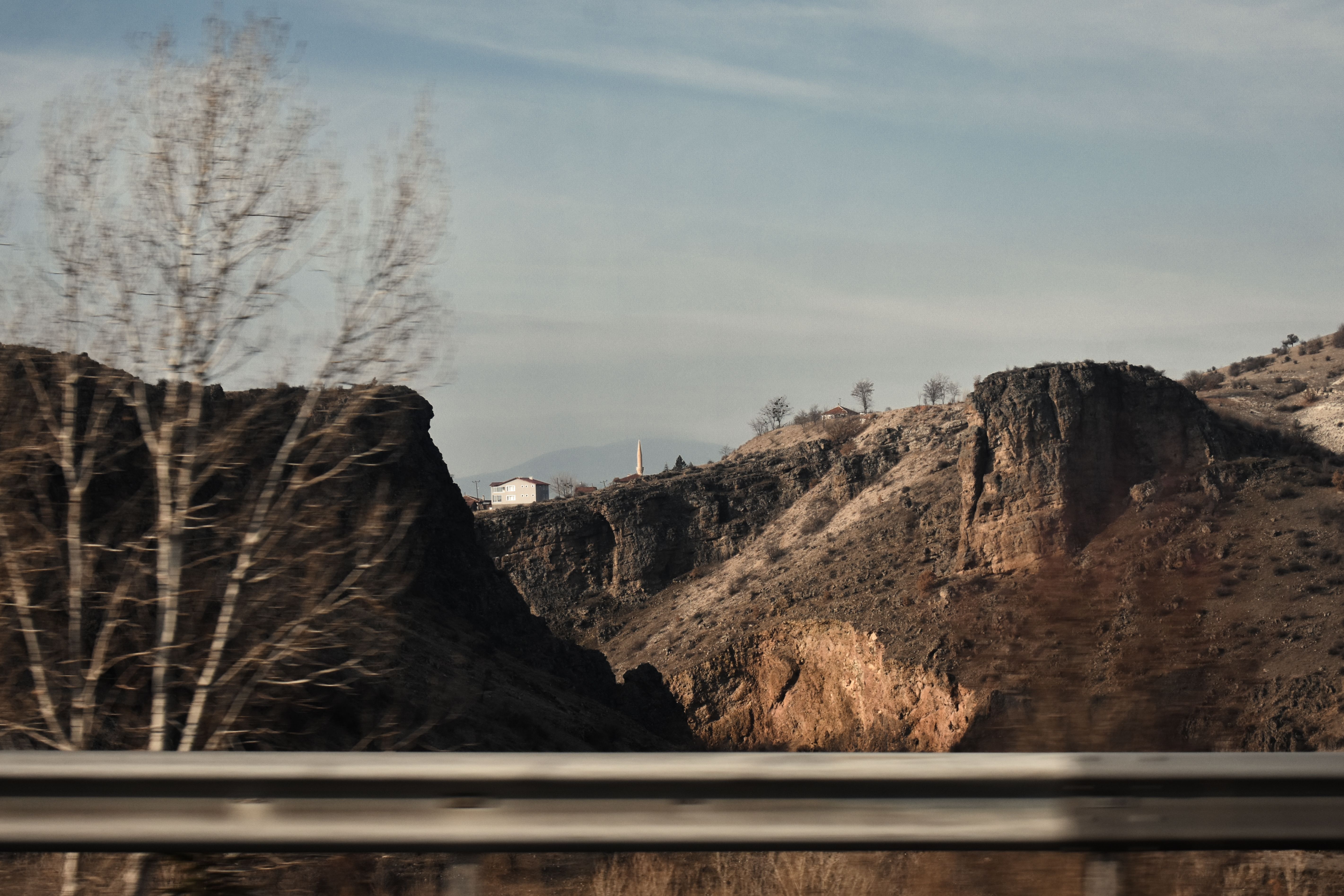 Tree and Rocks behind Barrier · Free Stock Photo