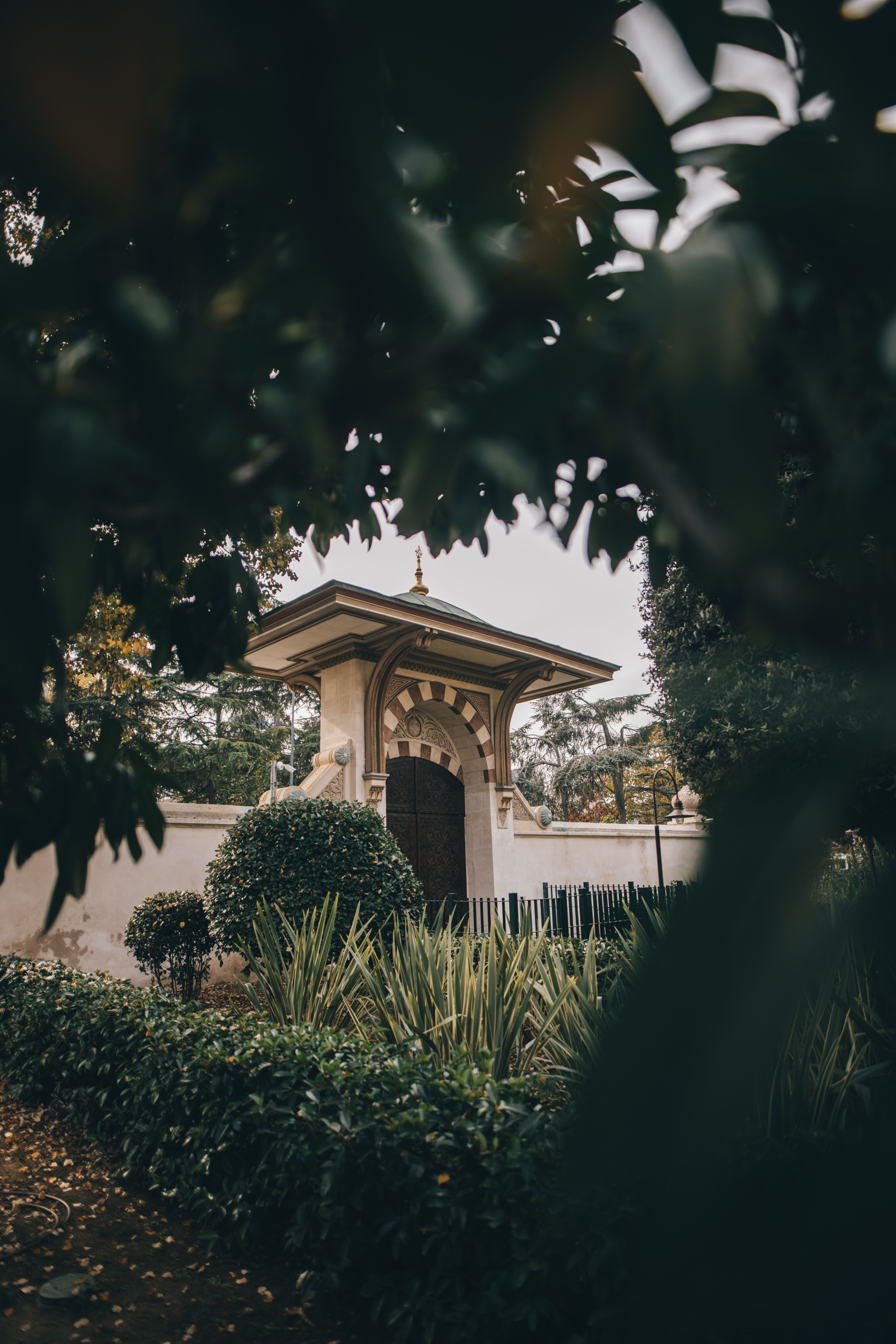 Trees and Bushes near Garden Gate · Free Stock Photo