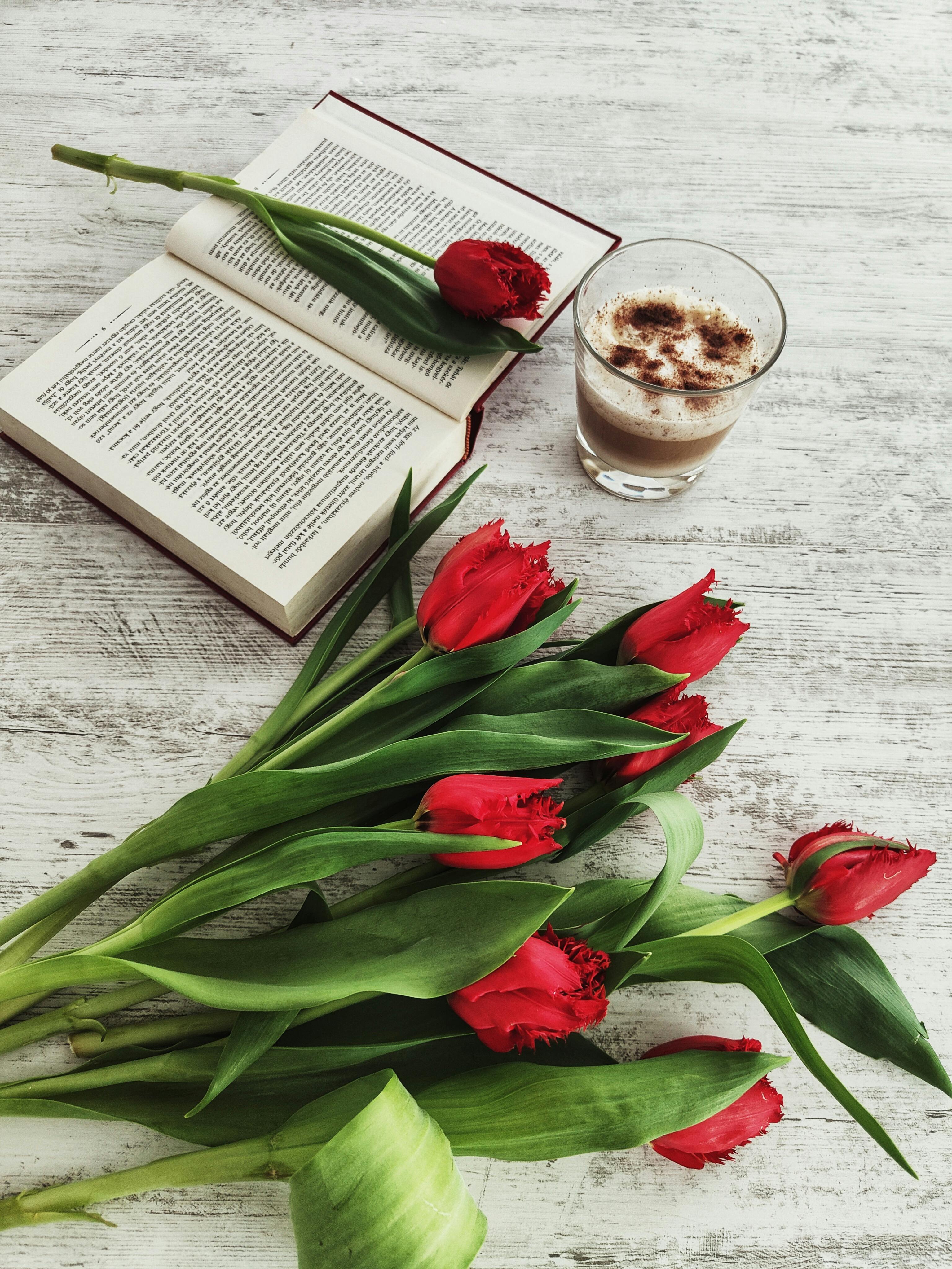 Book, Coffee and Tulips · Free Stock Photo