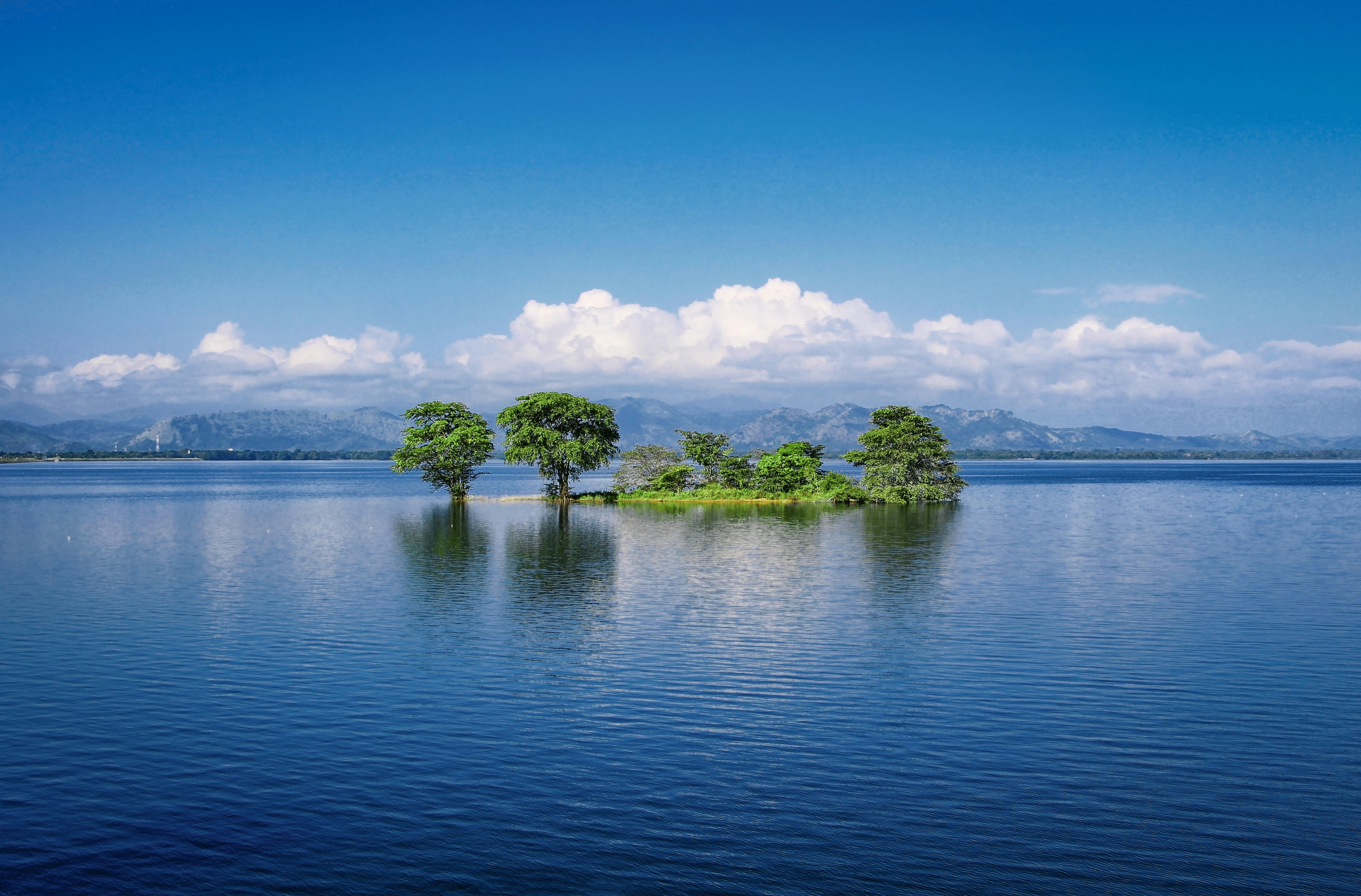 Sineth Udayantha - Photography